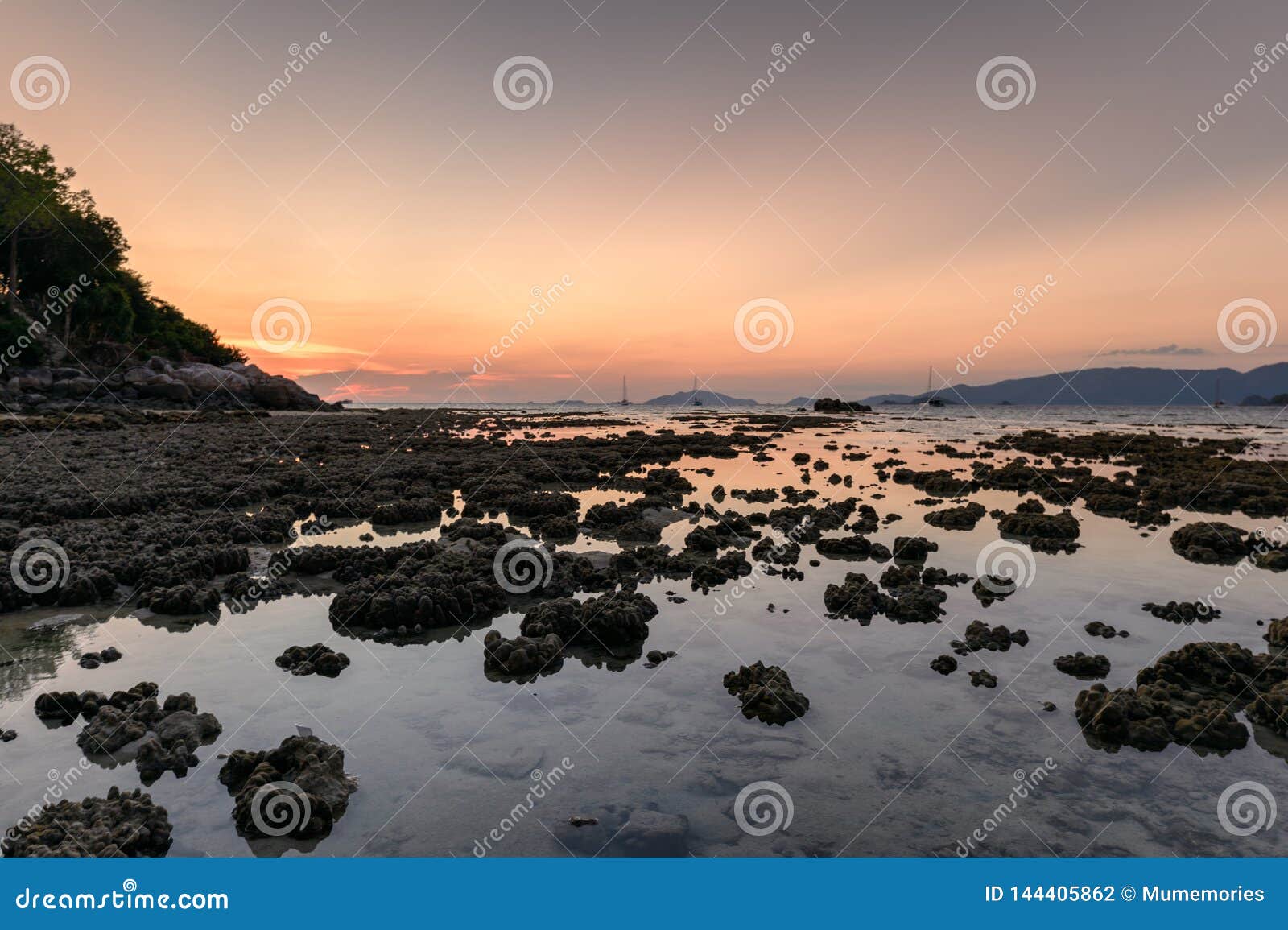 Coral Reef in Tide Phenomenon on Coastline Stock Photo - Image of ...
