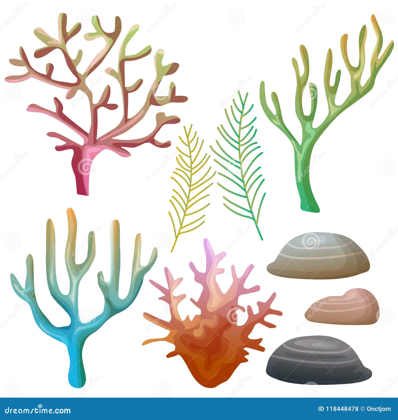 Coral reef vector stock vector. Illustration of marine - 118448478