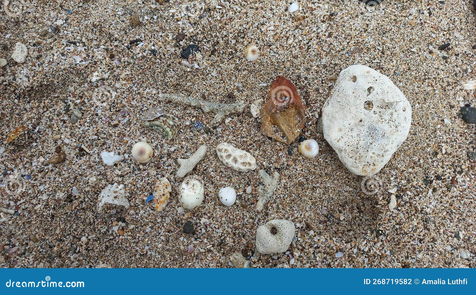 Coral Reefs and Beach Sands Stock Photo - Image of soil, reefs: 268719582