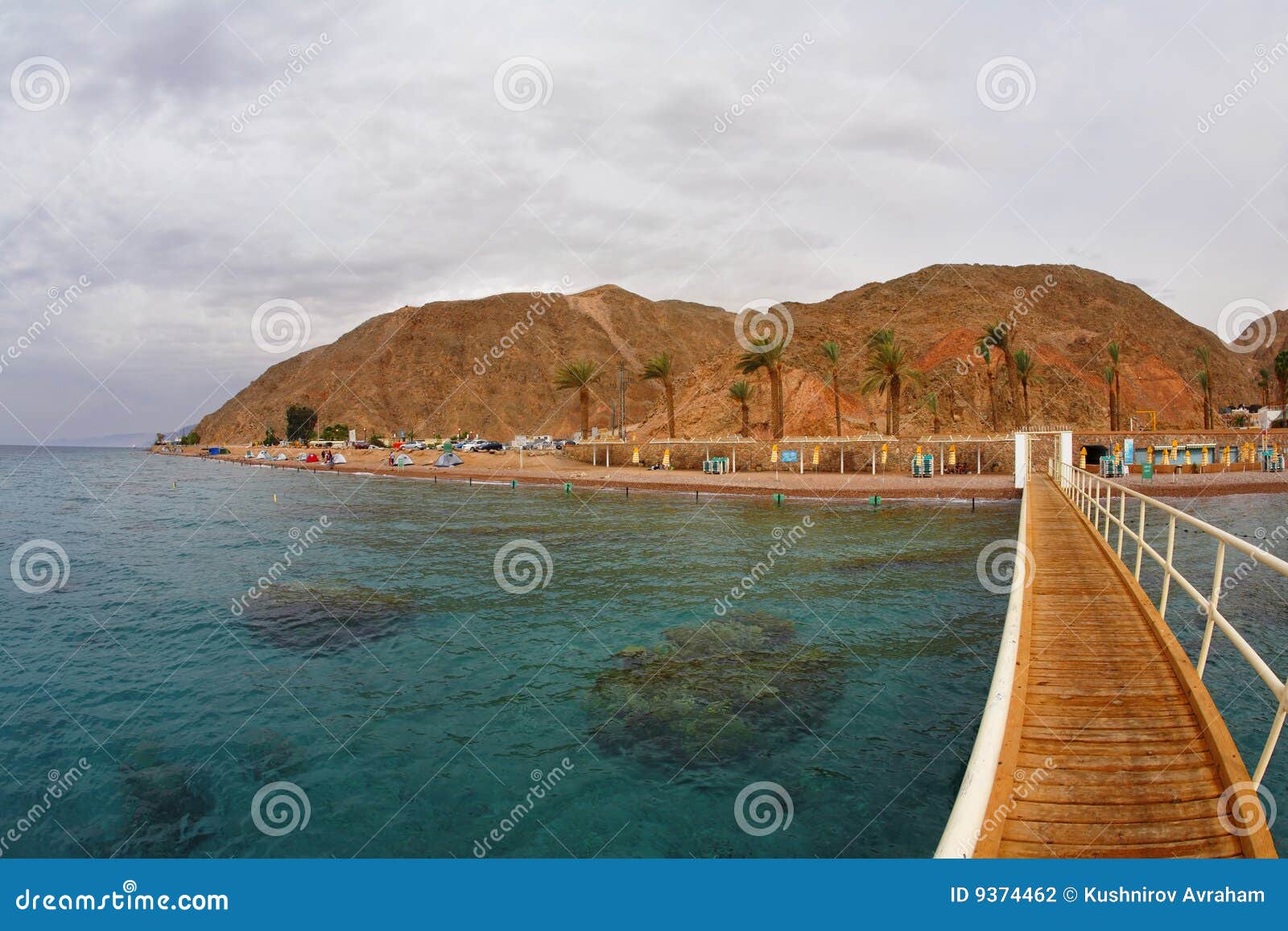 Coral reeves at coast stock photo. Image of idyllic, sand - 9374462