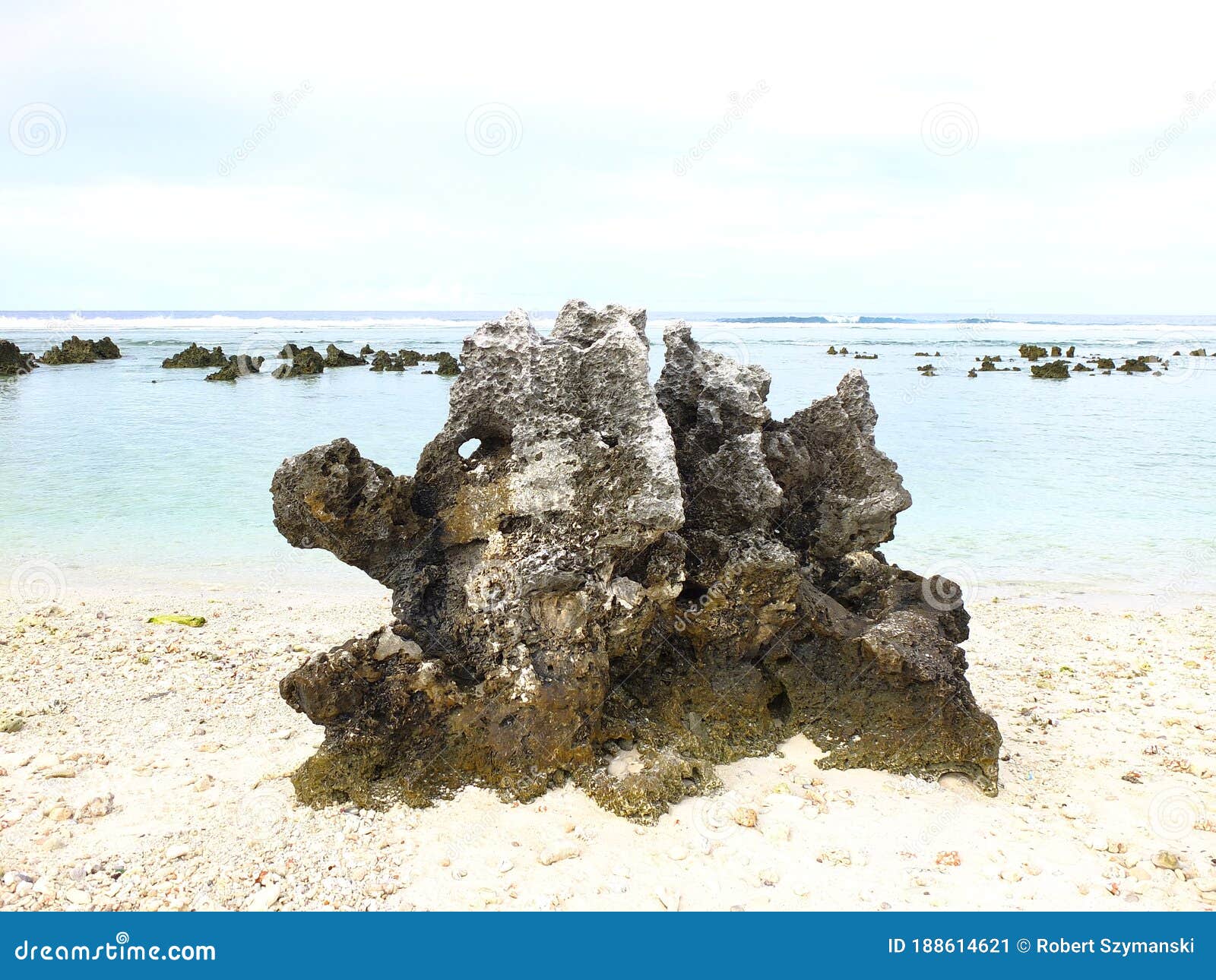 Coral rocks on a beach stock image. Image of background - 188614621