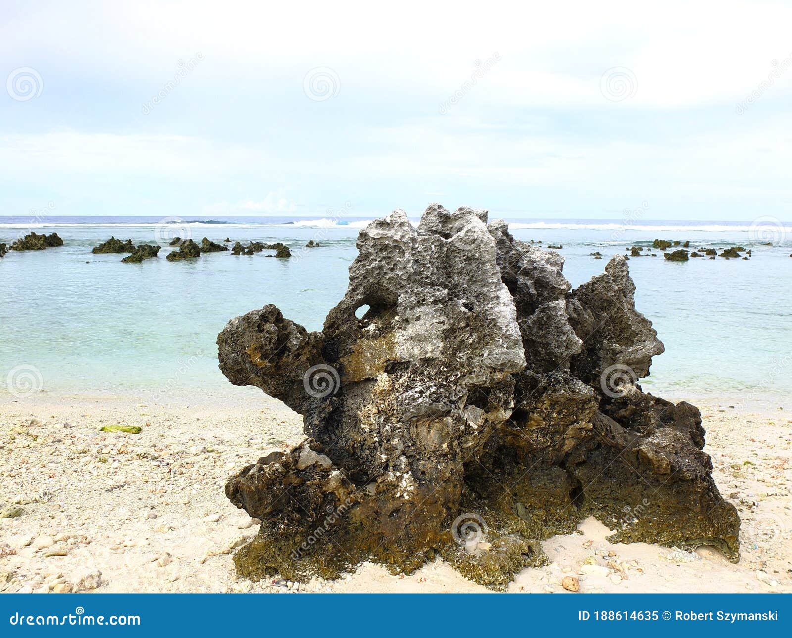 Coral rocks on a beach stock image. Image of crystalline - 188614635