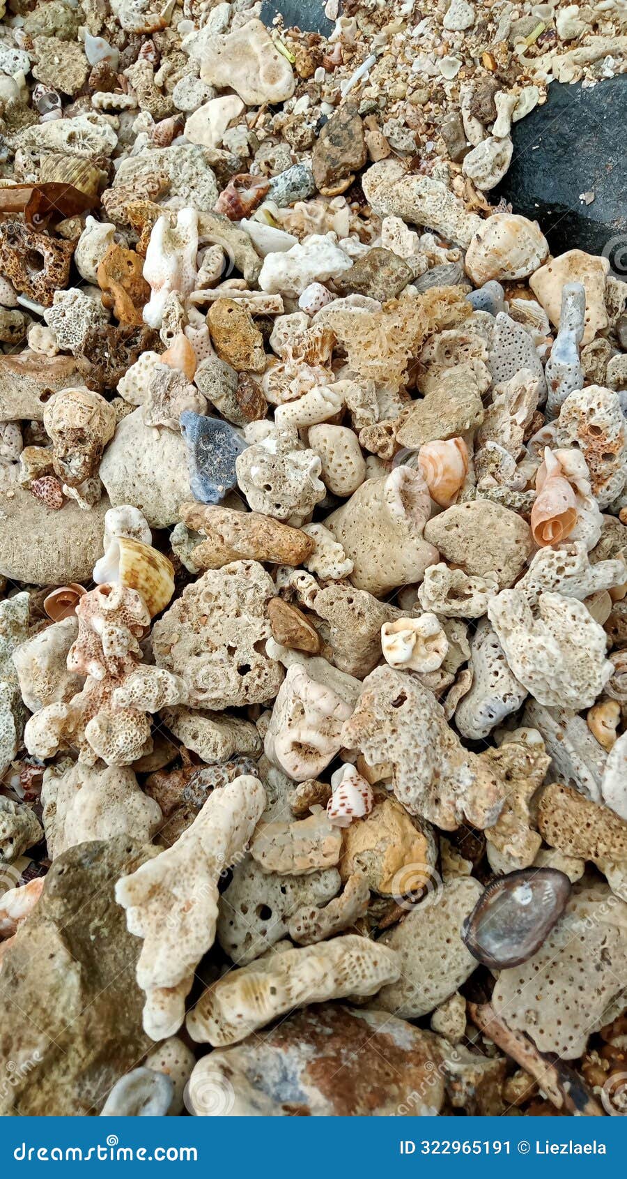 Coral Rocks at the Edge of the Sea Stock Image - Image of dessert ...