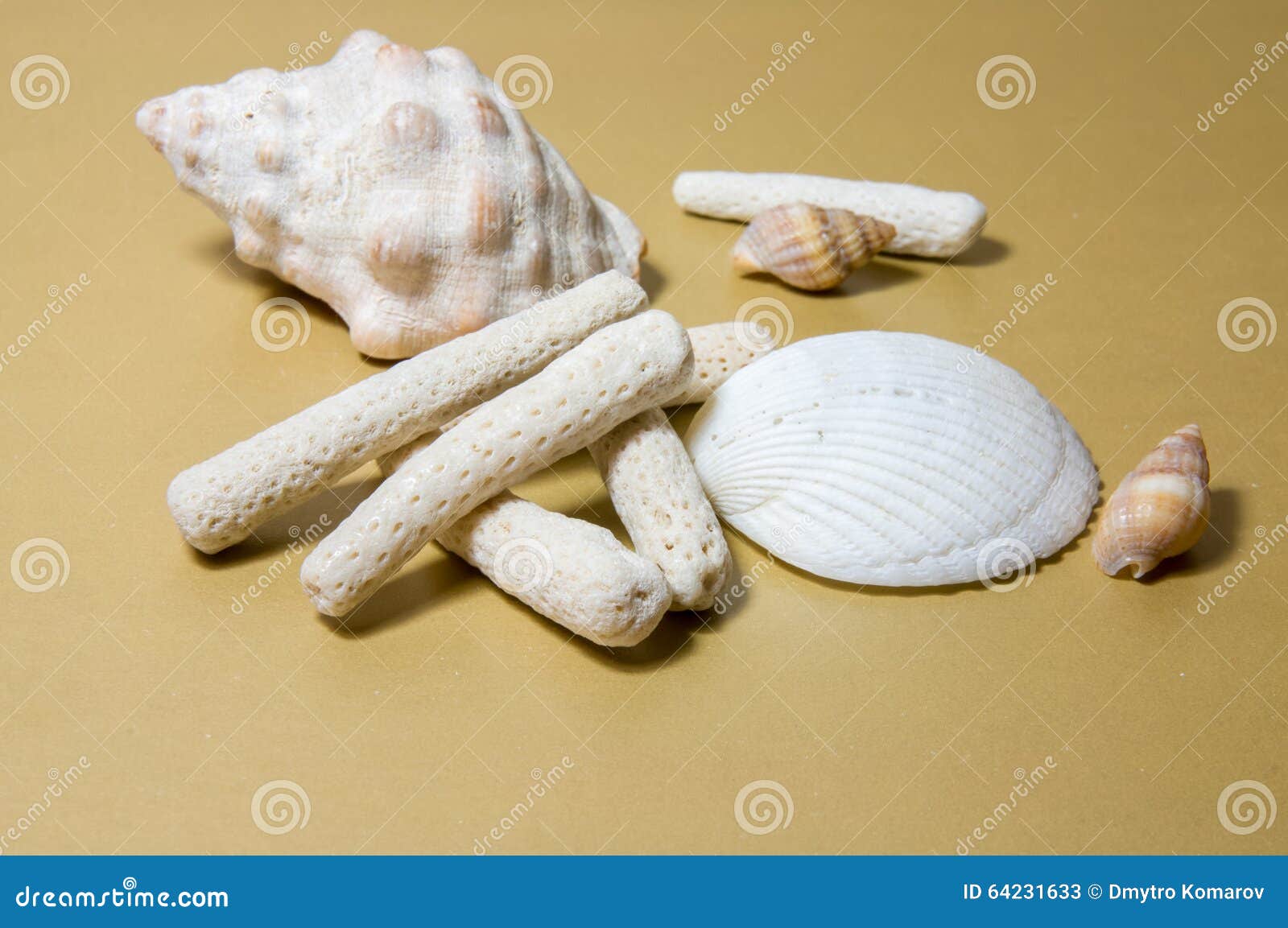 Coral Rubble E Coperture Su Marrone Chiaro Immagine Stock - Immagine di ...