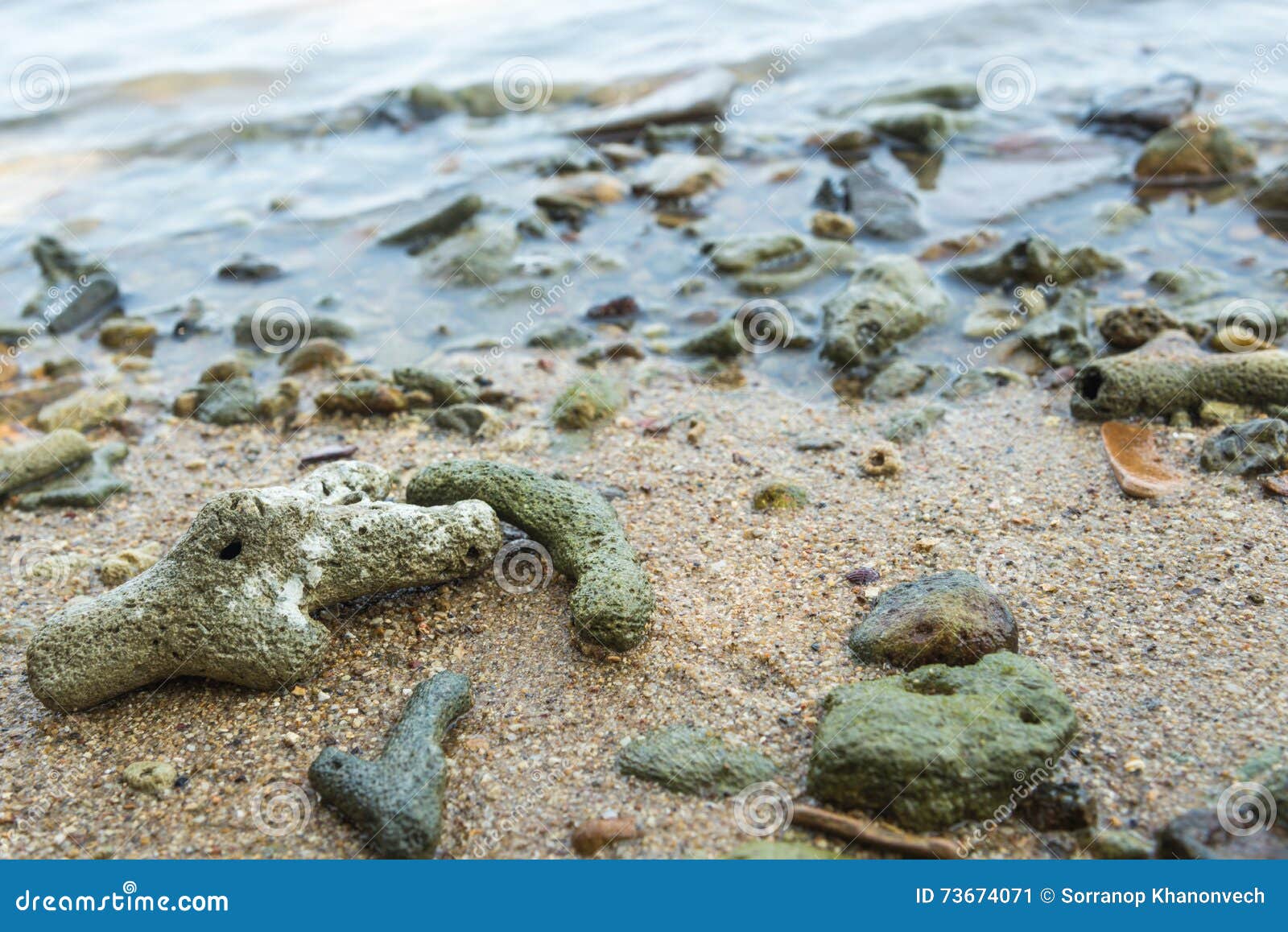 Coral Rubble Formed from Old Dead Corals that is Washed Up Onto Stock ...