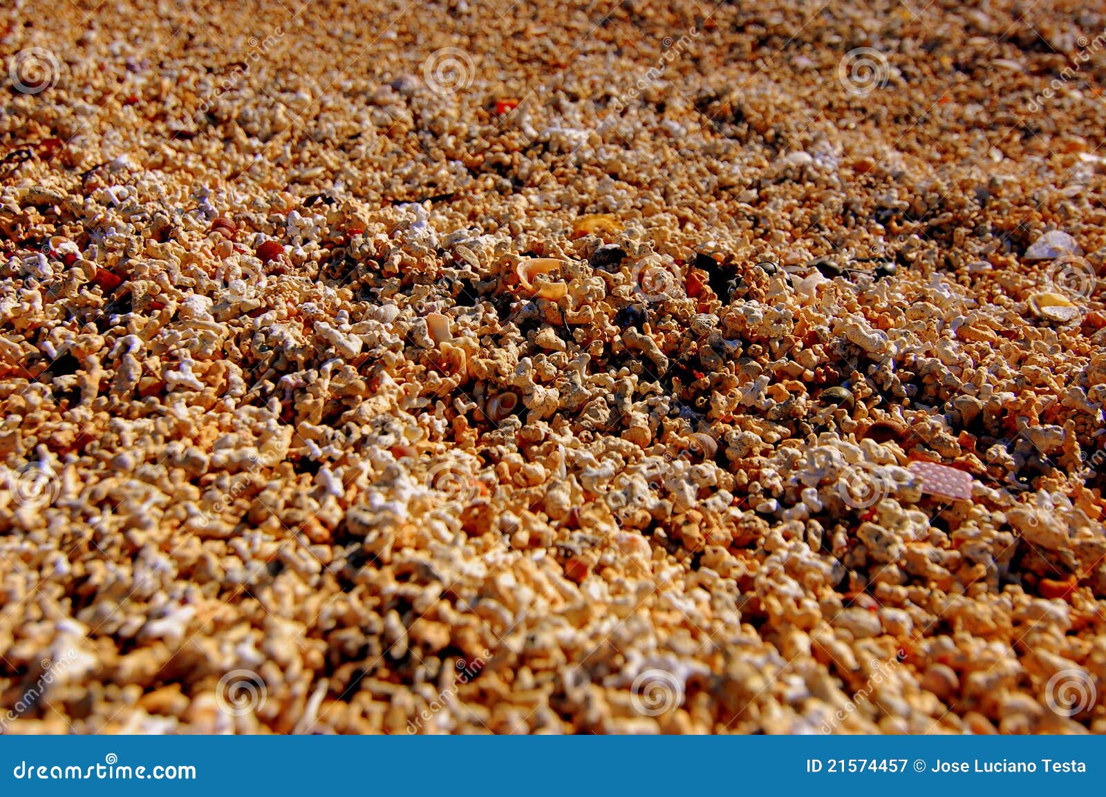 Coral sand grains stock image. Image of seaside, holiday - 21574457