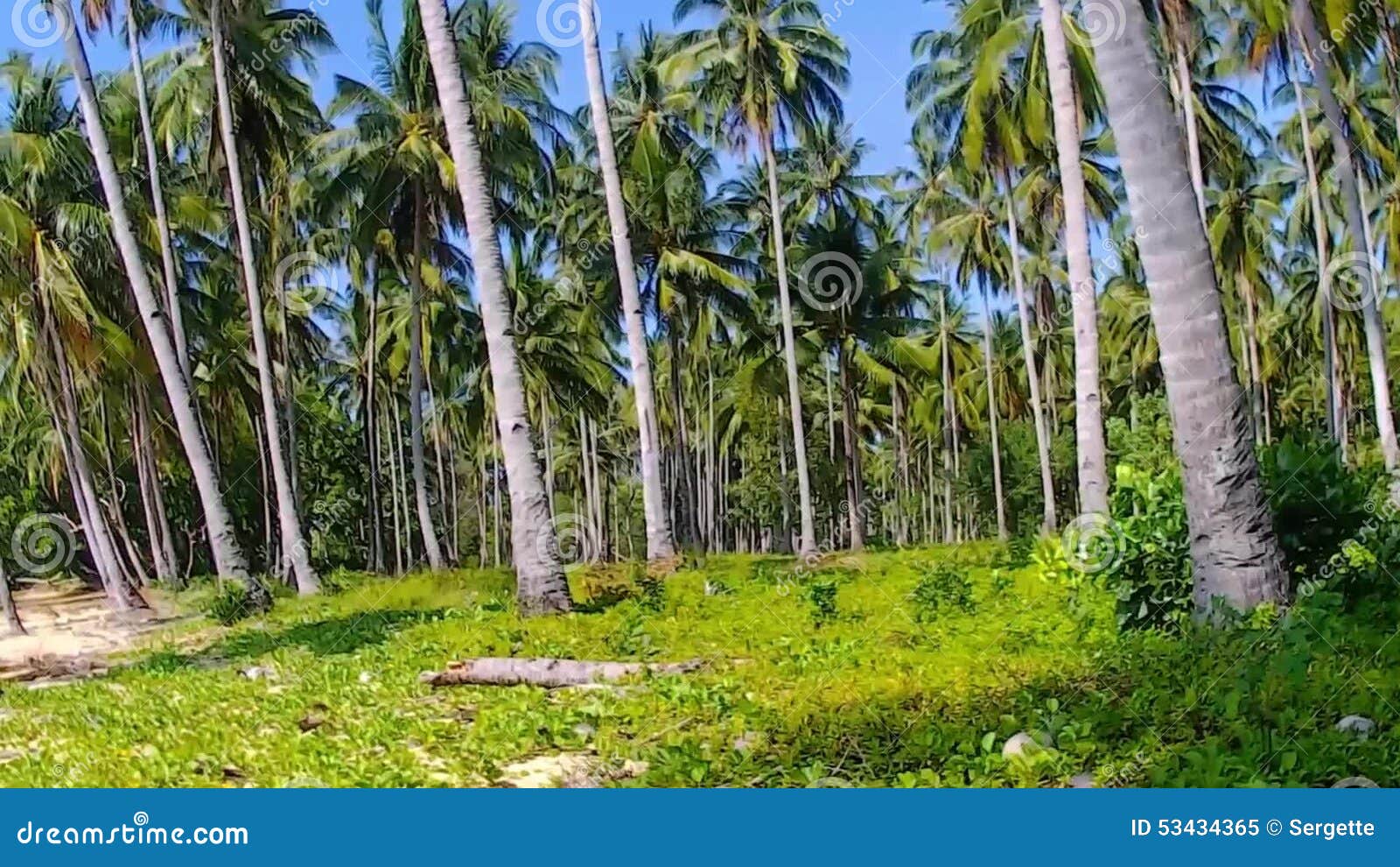 Coral sand. Tropical beach stock video. Video of people - 53434365