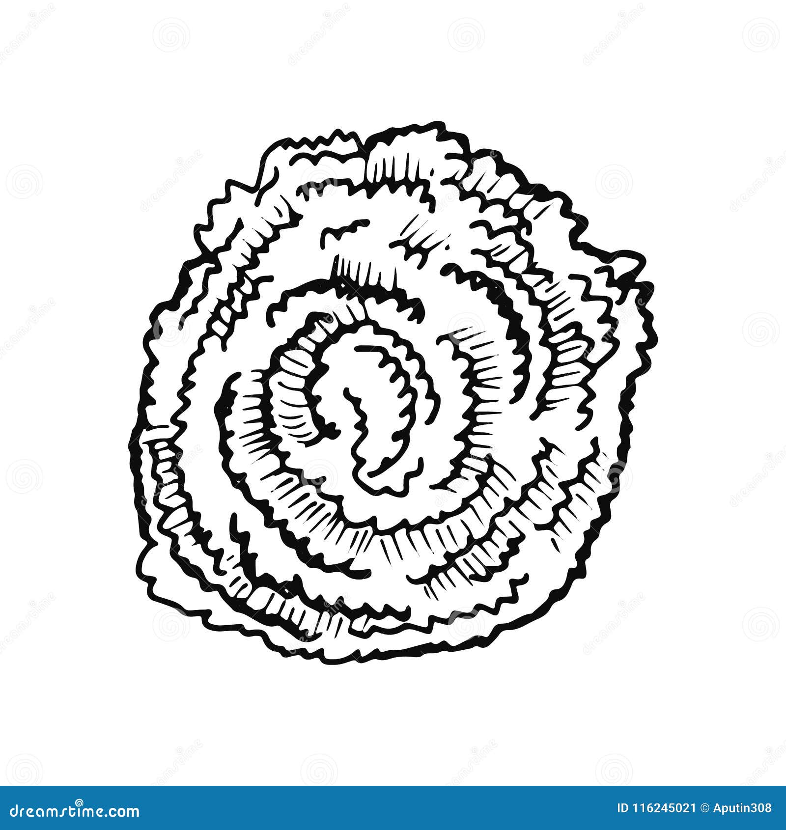 Coral Sketch Isolated. Hand Drawing Plant Vector Stock Vector ...
