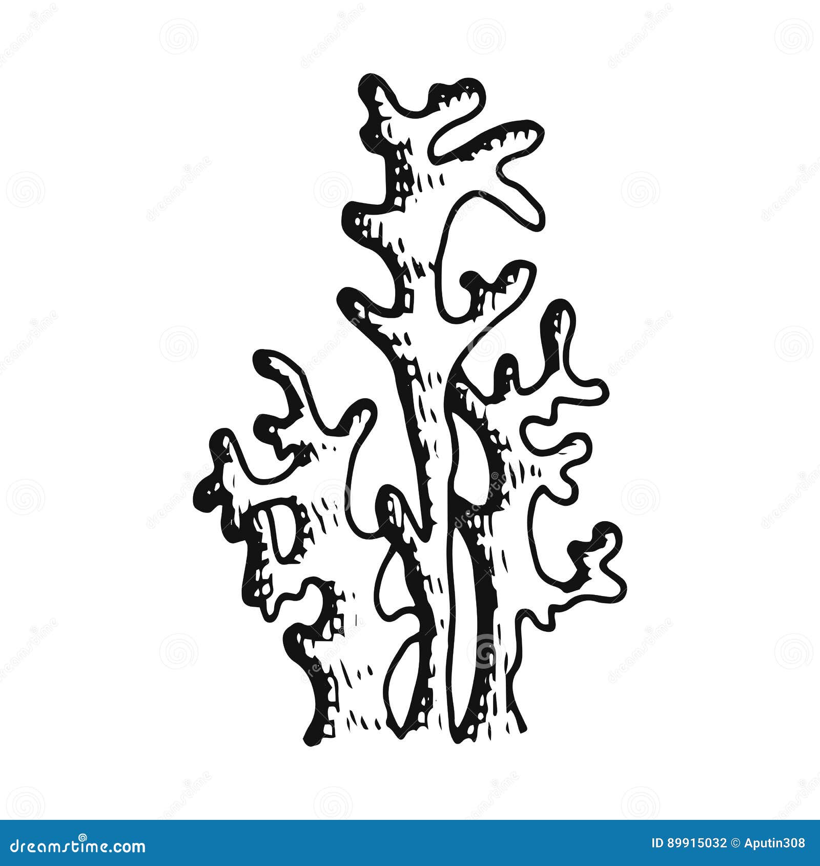 Coral Sketch Vector Isolated Drawing Stock Vector - Illustration of ...