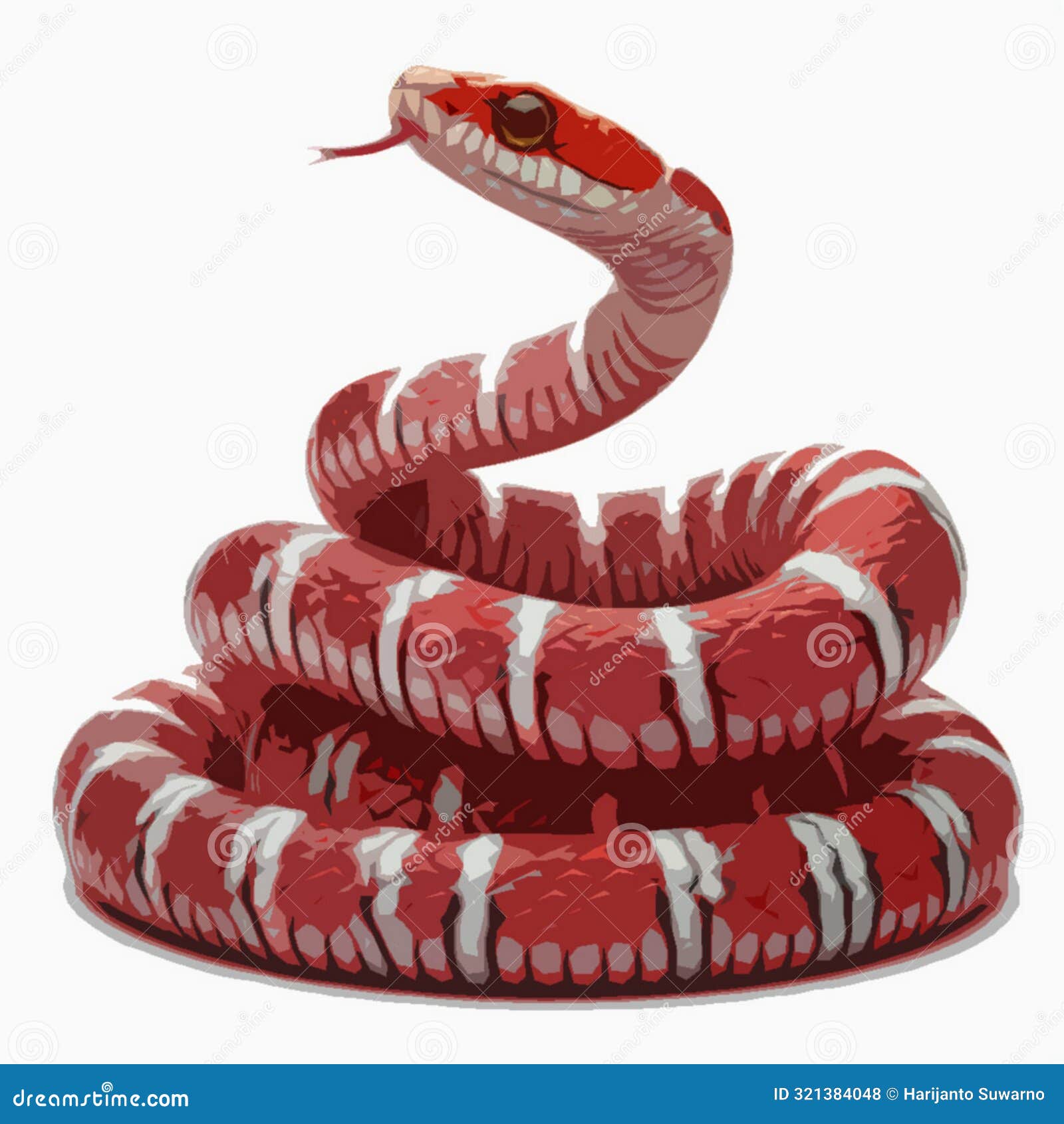 Coral Snake Stock Photo | CartoonDealer.com #321384048