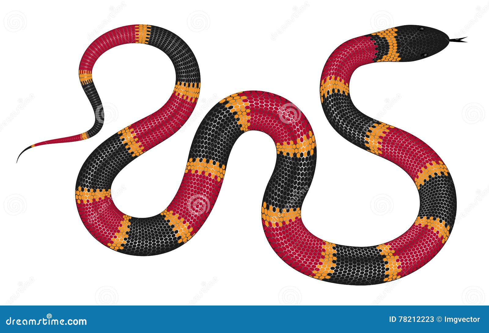 Snake Vector Silhouette Isolated On White Background. Black Serpent ...