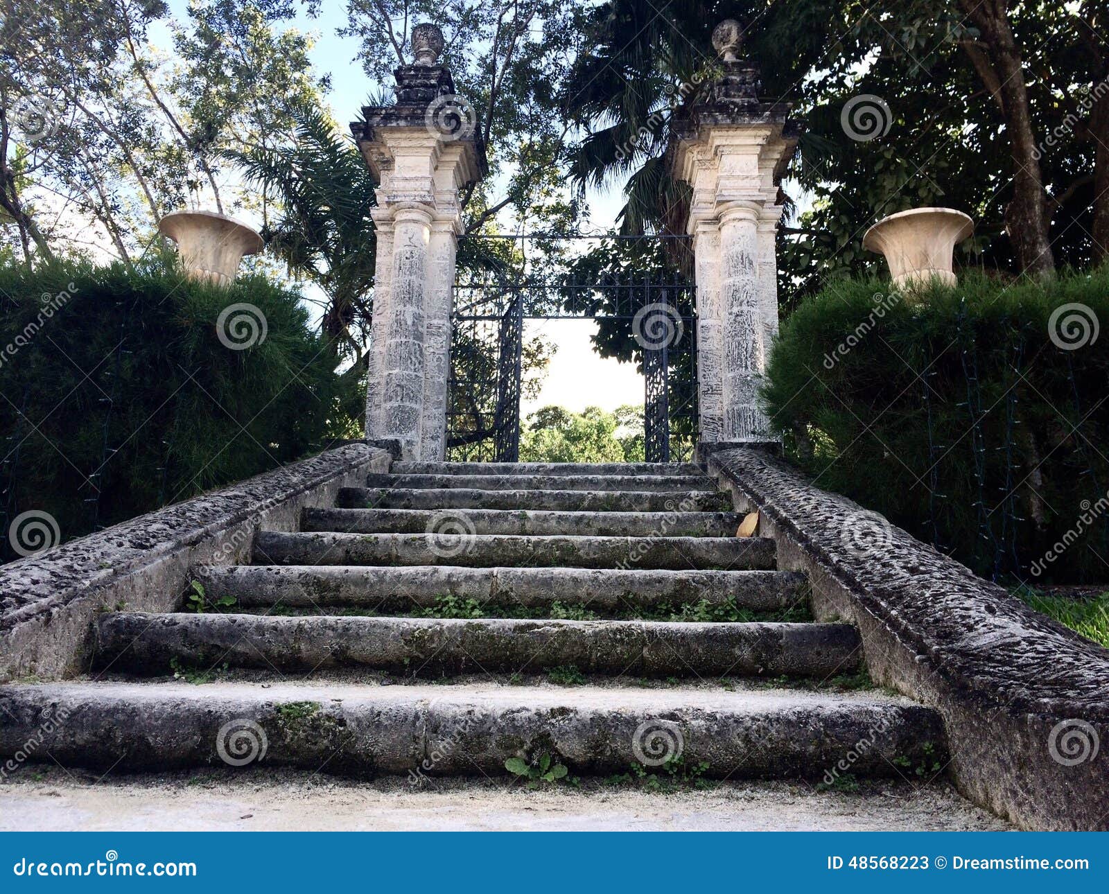 Coral stairs stock image. Image of stairs, stone, coral - 48568223