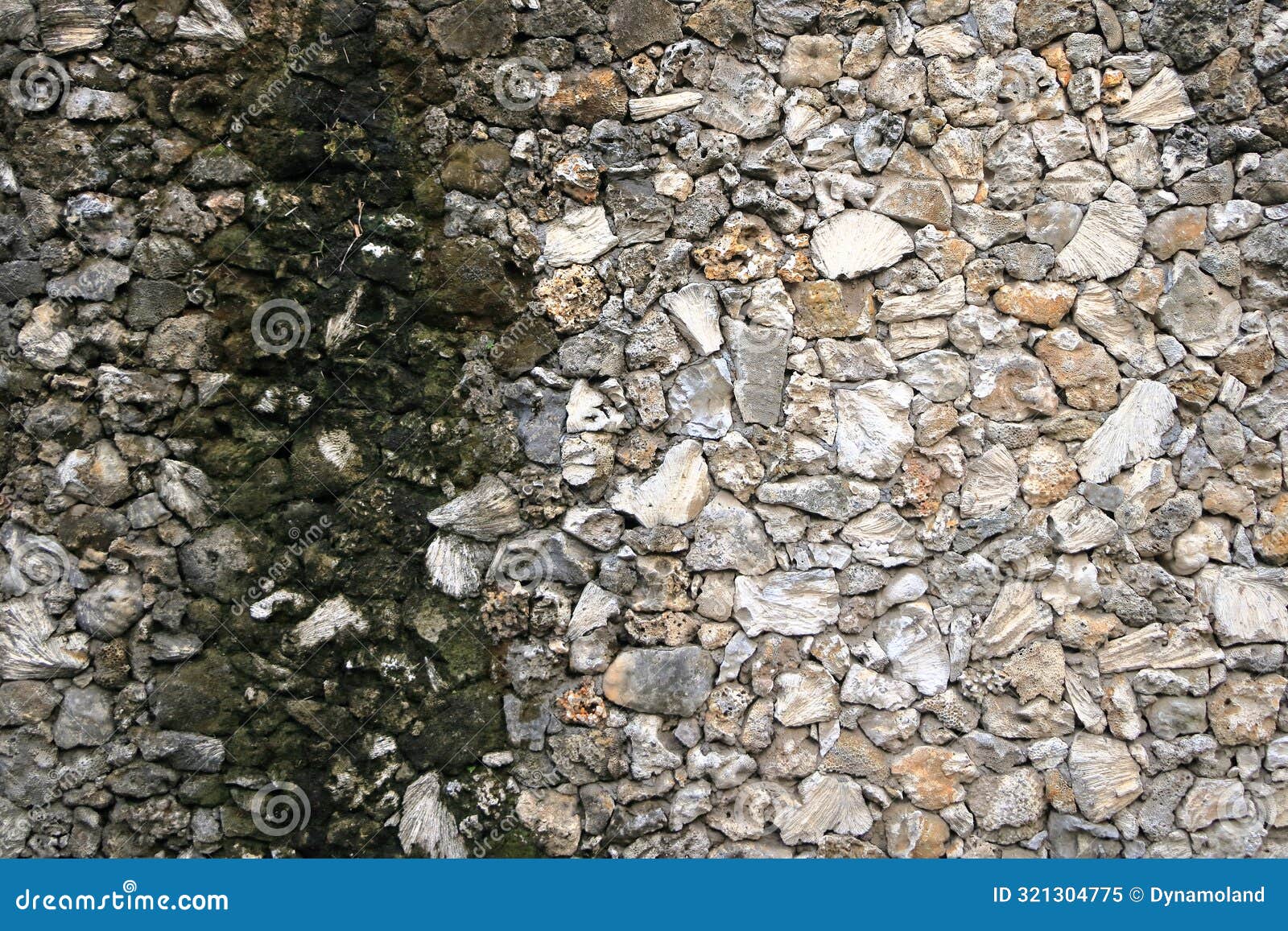 Coral Stone Pattern Wall in Bali, Indonesia Stock Image - Image of ...
