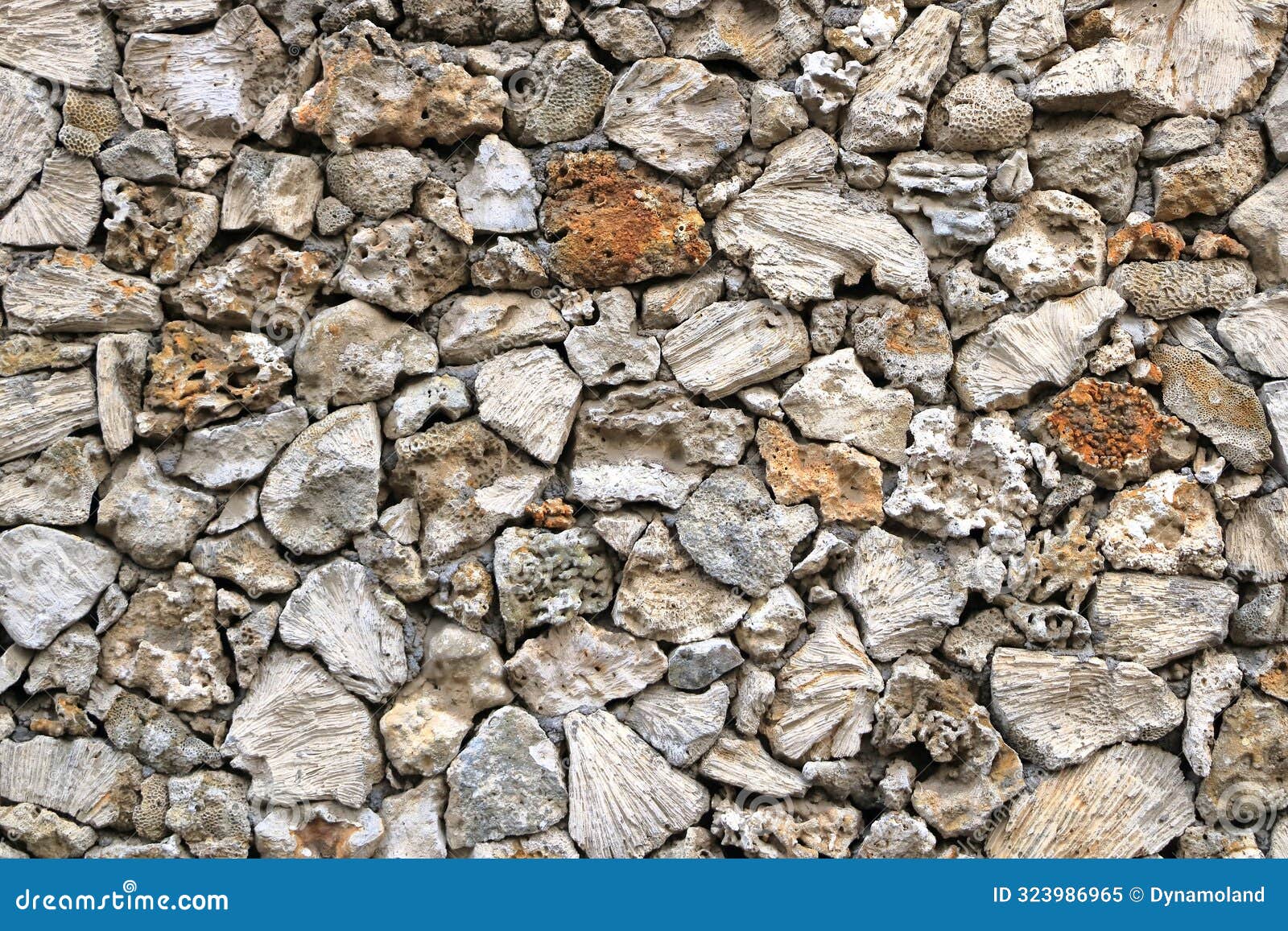 Coral Stone Pattern Wall in Bali, Indonesia Stock Image - Image of ...