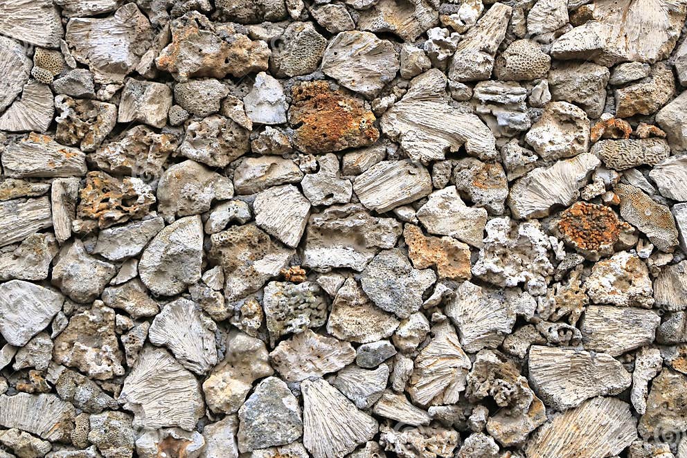 Coral Stone Pattern Wall in Bali, Indonesia Stock Image - Image of ...