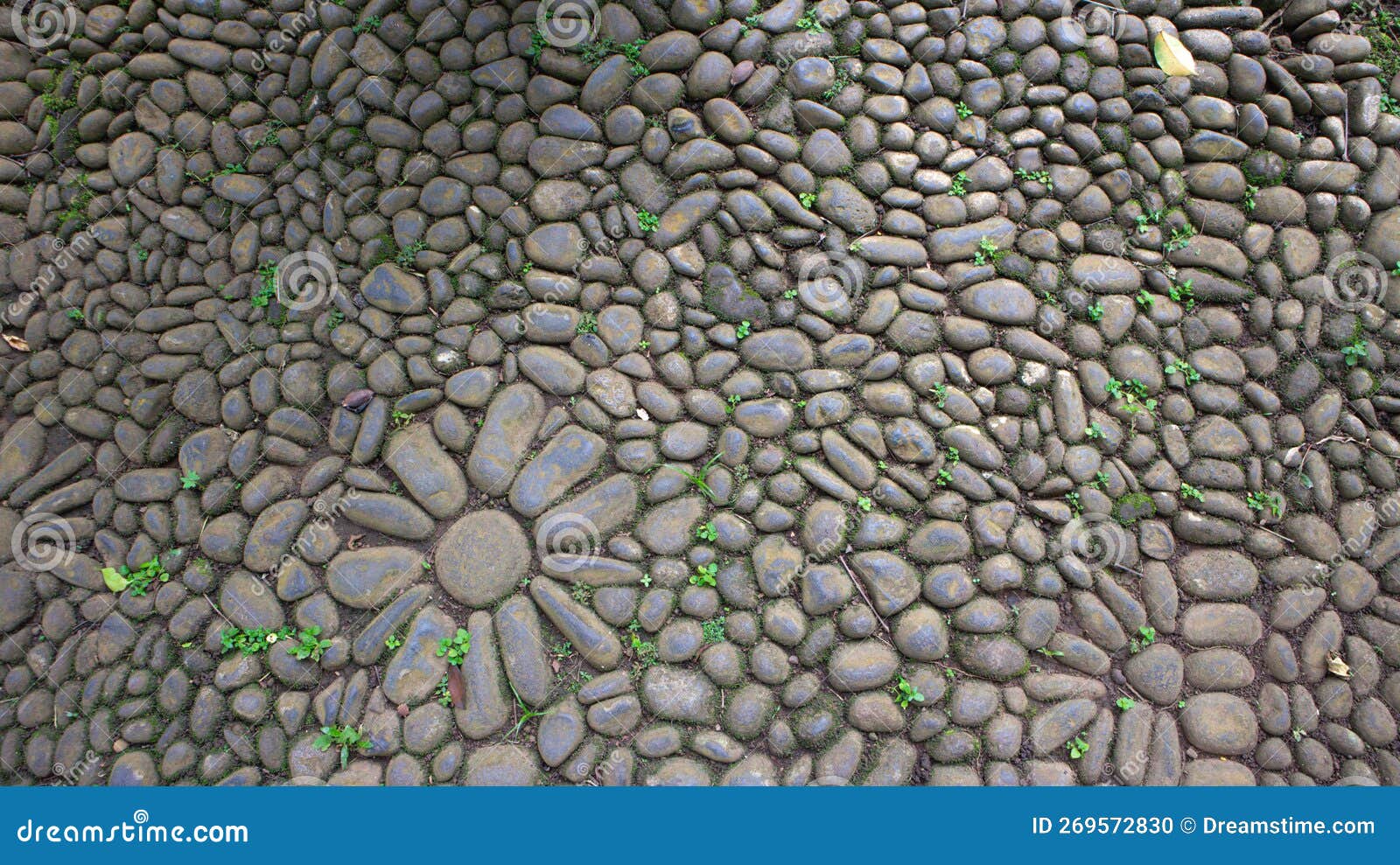 Coral Stone Texture Neatly Arranged for Road Access Stock Photo - Image ...