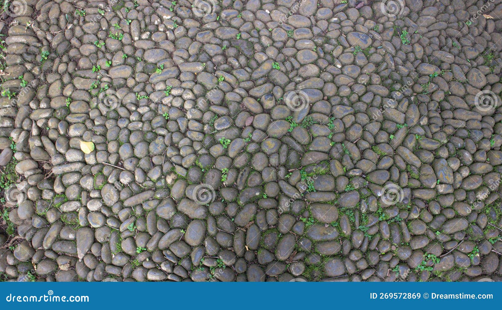 Coral Stone Texture Neatly Arranged for Road Access Stock Image - Image ...