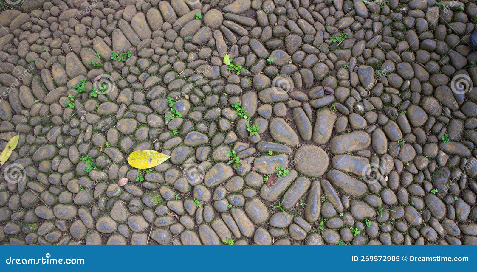 Coral Stone Texture Neatly Arranged for Road Access Stock Image - Image ...