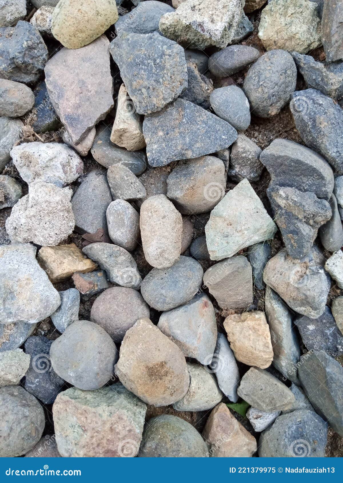 Coral Stones are Neatly Arranged on Sandy Soil. Stock Image - Image of ...