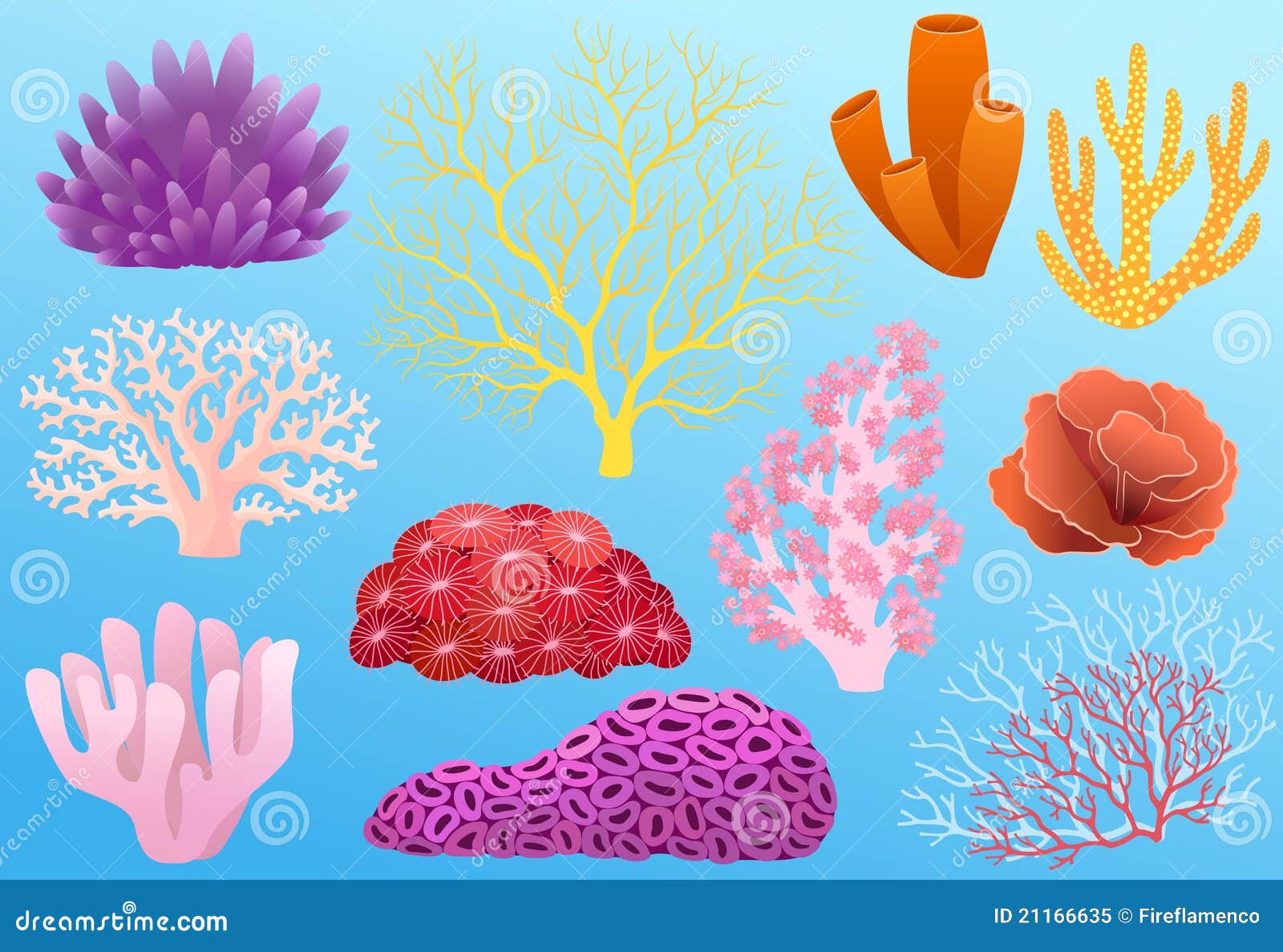 Corales Ilustraciones Stock, Vectores, Y Clipart – (4,278 Ilustraciones ...