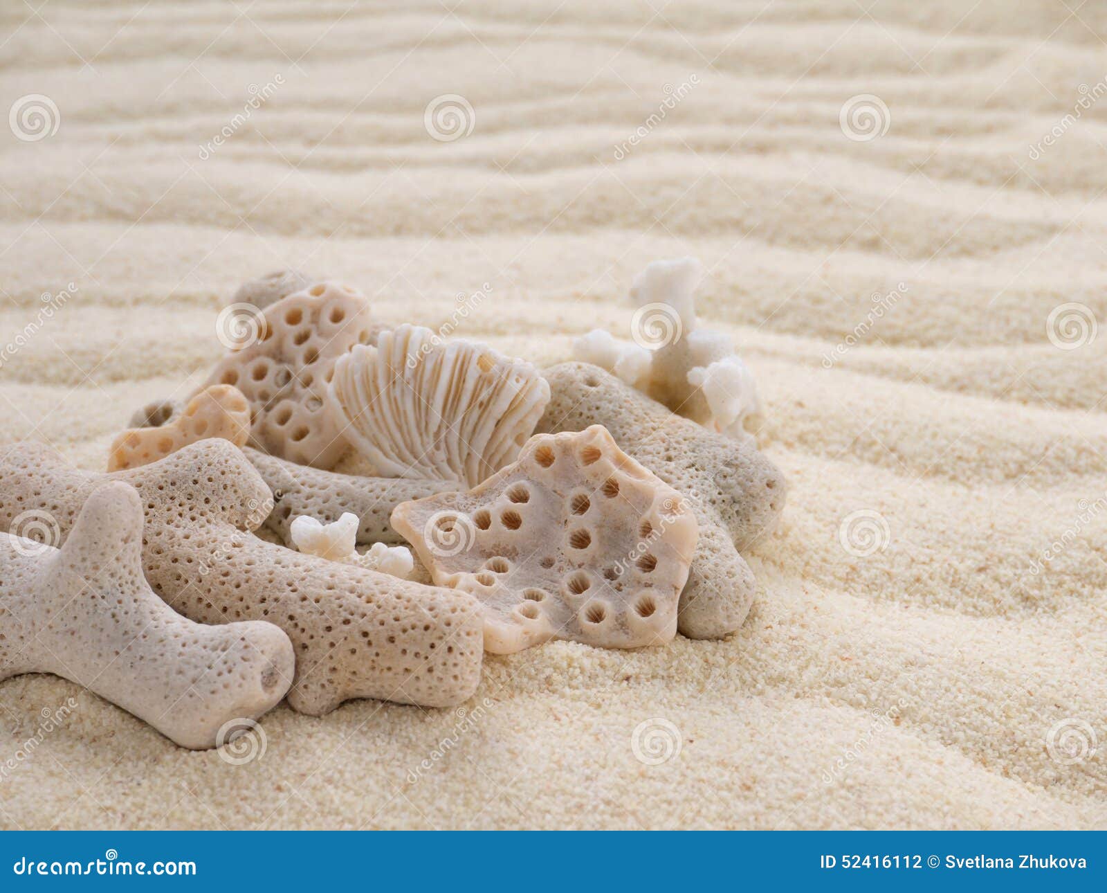 Corals on the beach stock photo. Image of summer, travel - 52416112