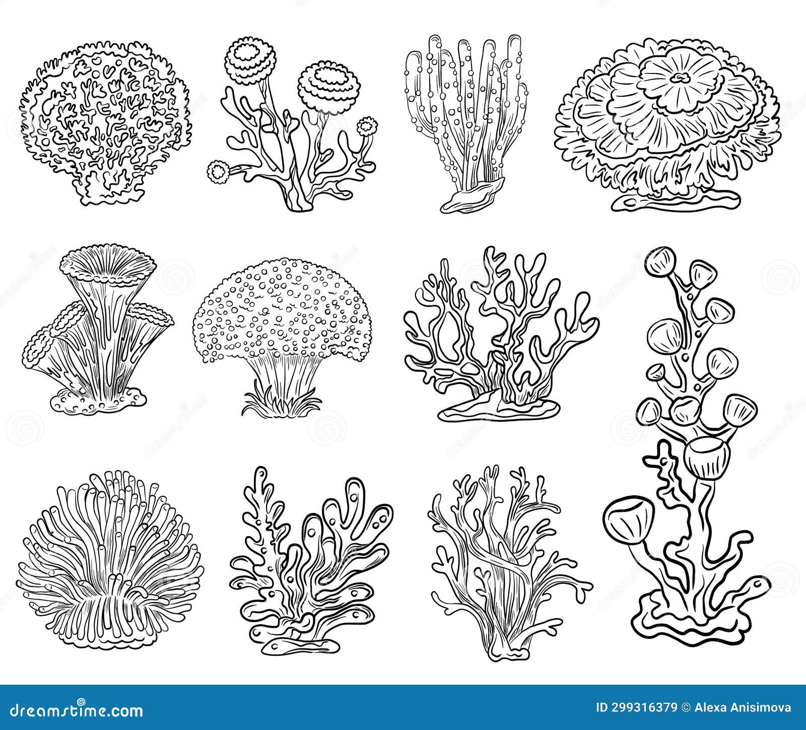Corals Hand Drawn Line Illustrations. Ocean Plants and Coral Reef ...