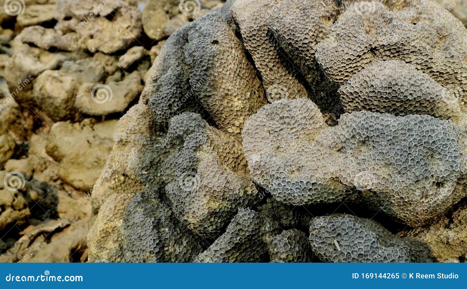 Background Of A Concave Wall Of Old Red Brick Royalty-Free Stock Image ...