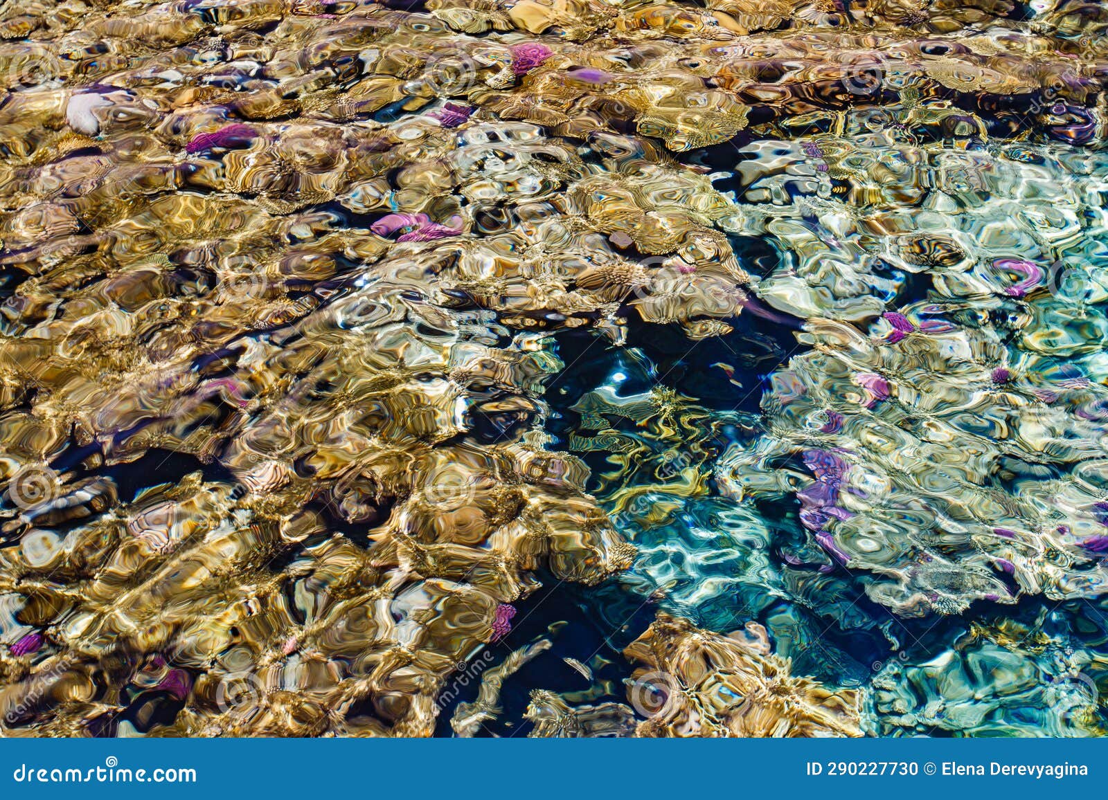 Corals Multicolored through Transparent Undulating Sea Water, Top View ...