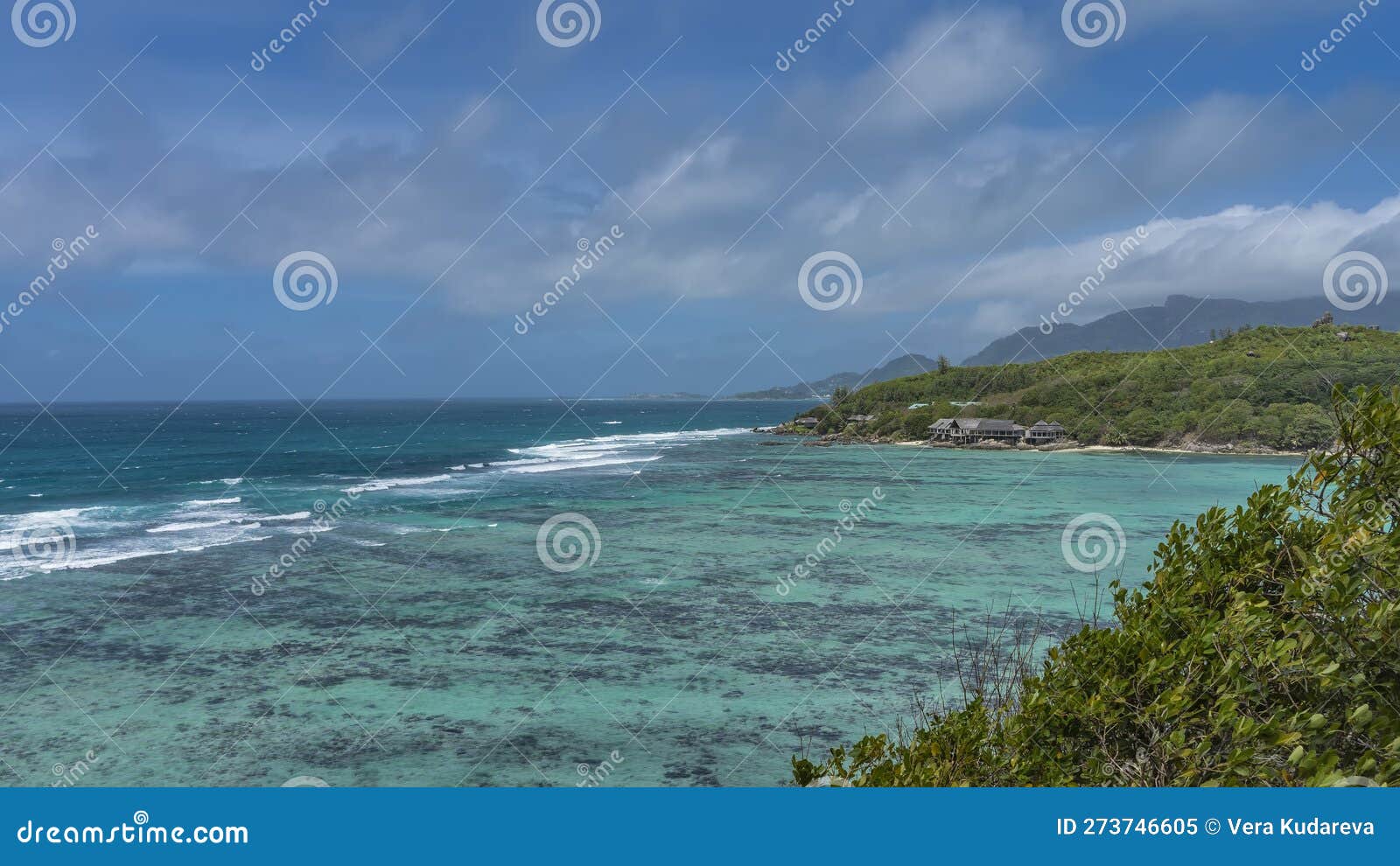 The Corals are Visible through the Clear Water of the Boundless ...