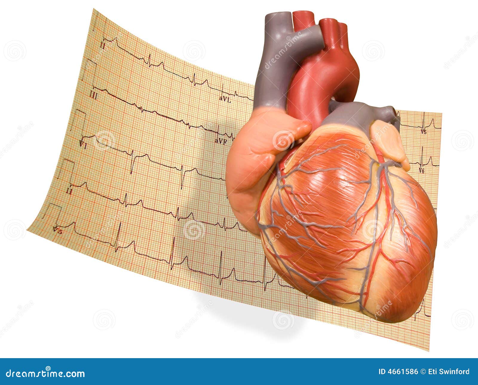 Corazón con EKG stock de ilustración. Ilustración de pulsador - 4661586