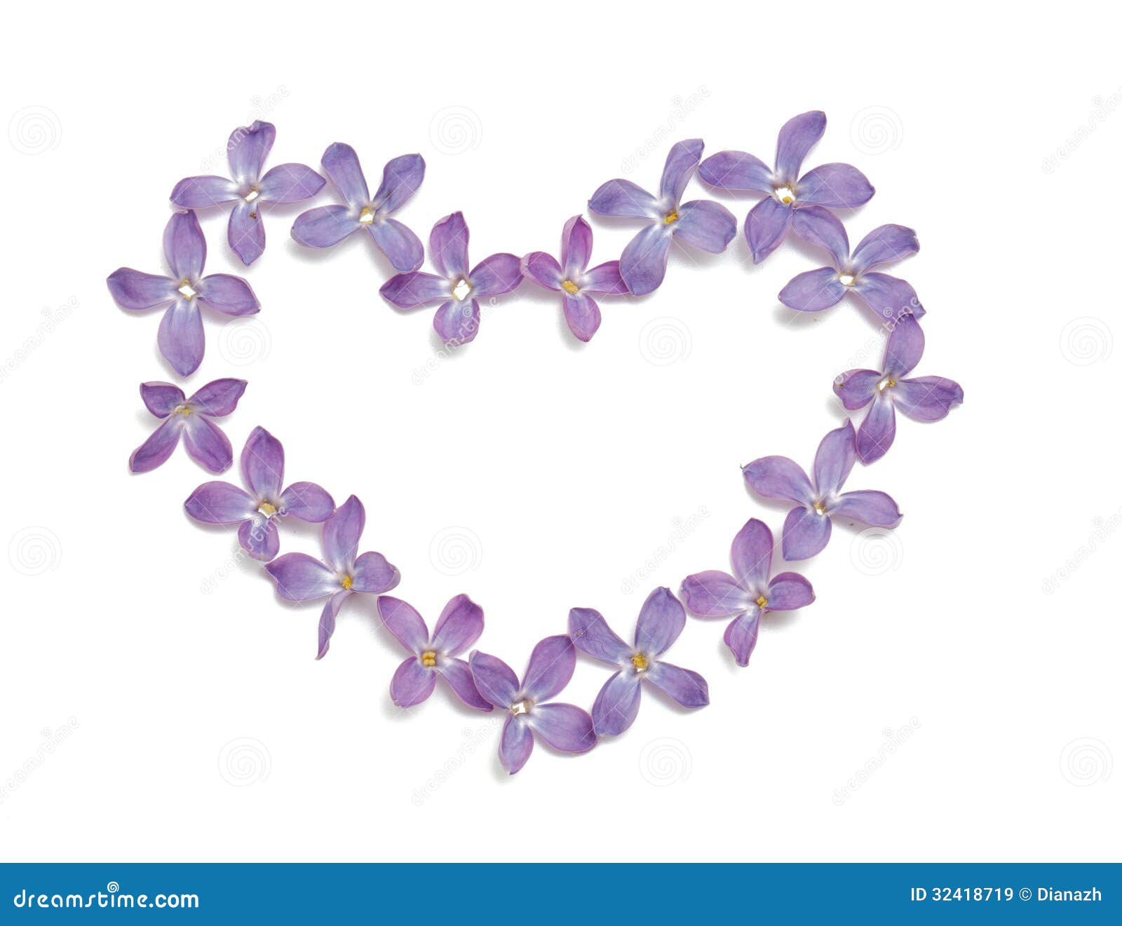 Corazón De La Lila Aislado En Blanco Imagen de archivo - Imagen de cubo ...