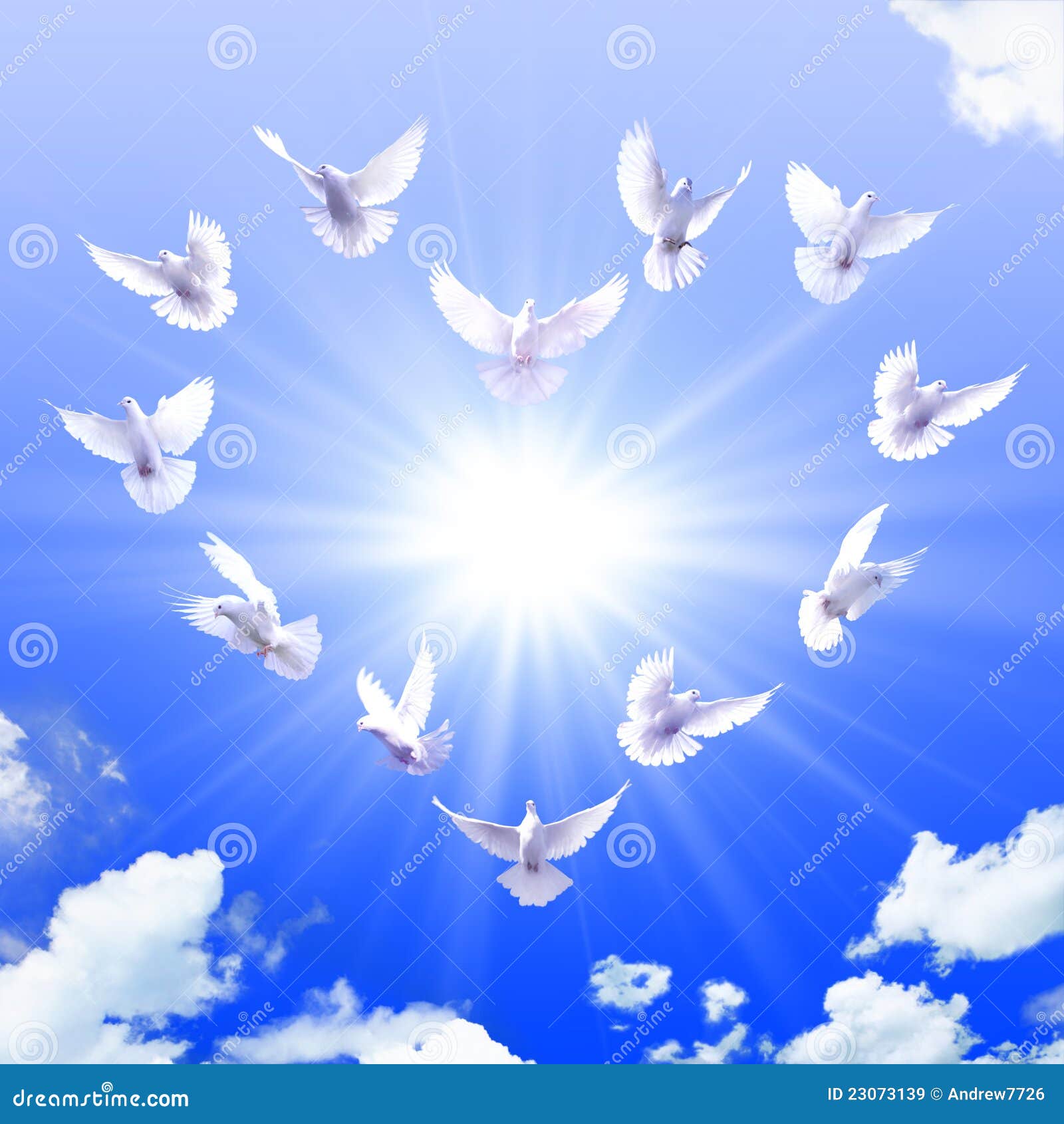 Corazón de palomas imagen de archivo. Imagen de belleza - 23073139