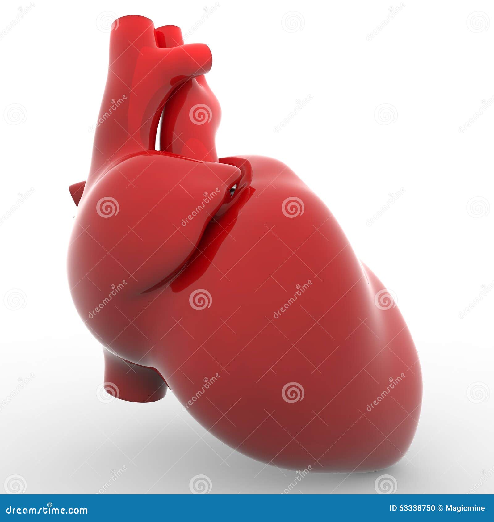 Corazón humano Front View stock de ilustración. Ilustración de interno ...