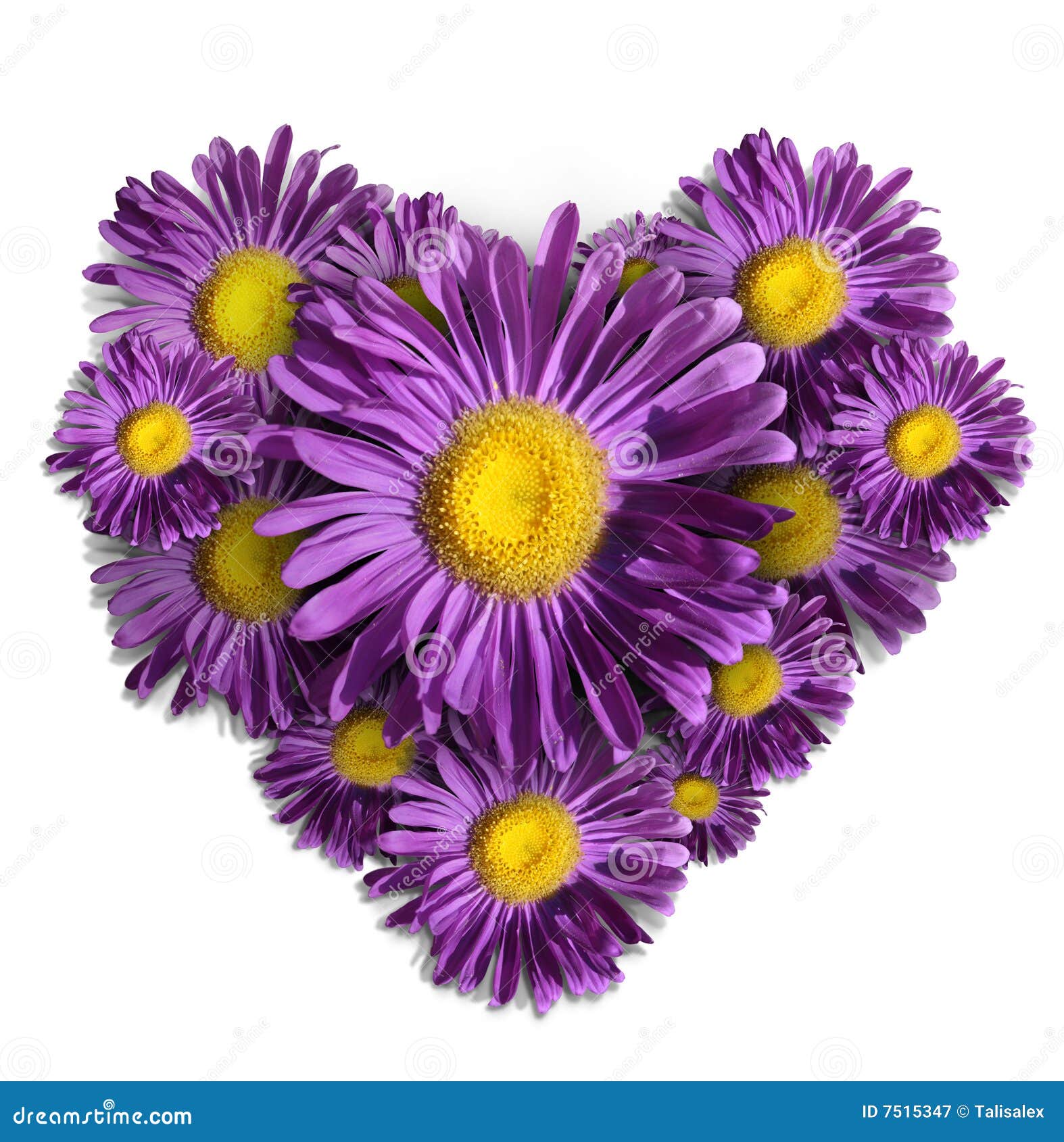 Corazón violeta de la flor imagen de archivo. Imagen de valentina - 7515347