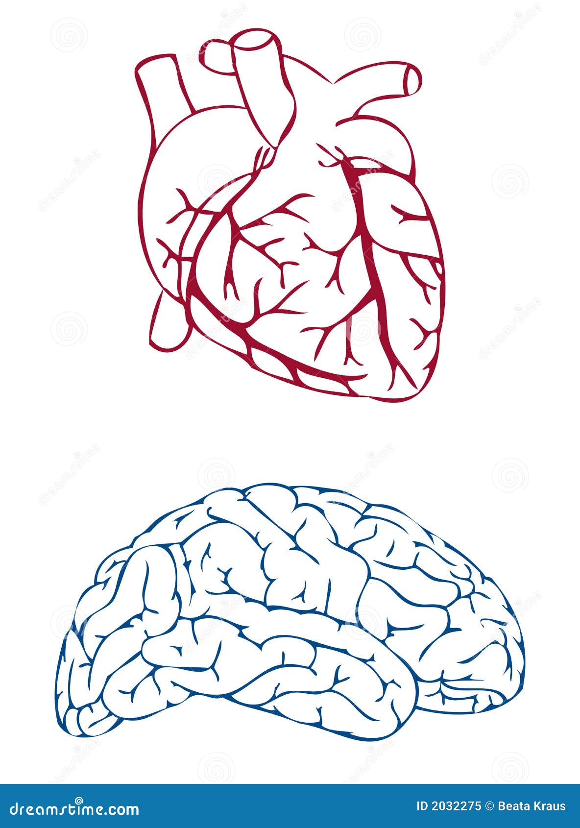 Corazón y cerebro ilustración del vector. Ilustración de pista - 2032275
