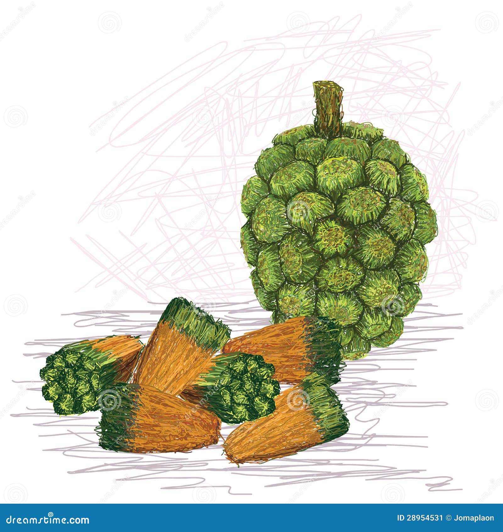 Corazones De La Fruta Del Pandanus Ilustración del Vector - Ilustración ...