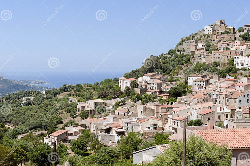 Corbara, Corsica stock photo. Image of corbara, tree - 21051472