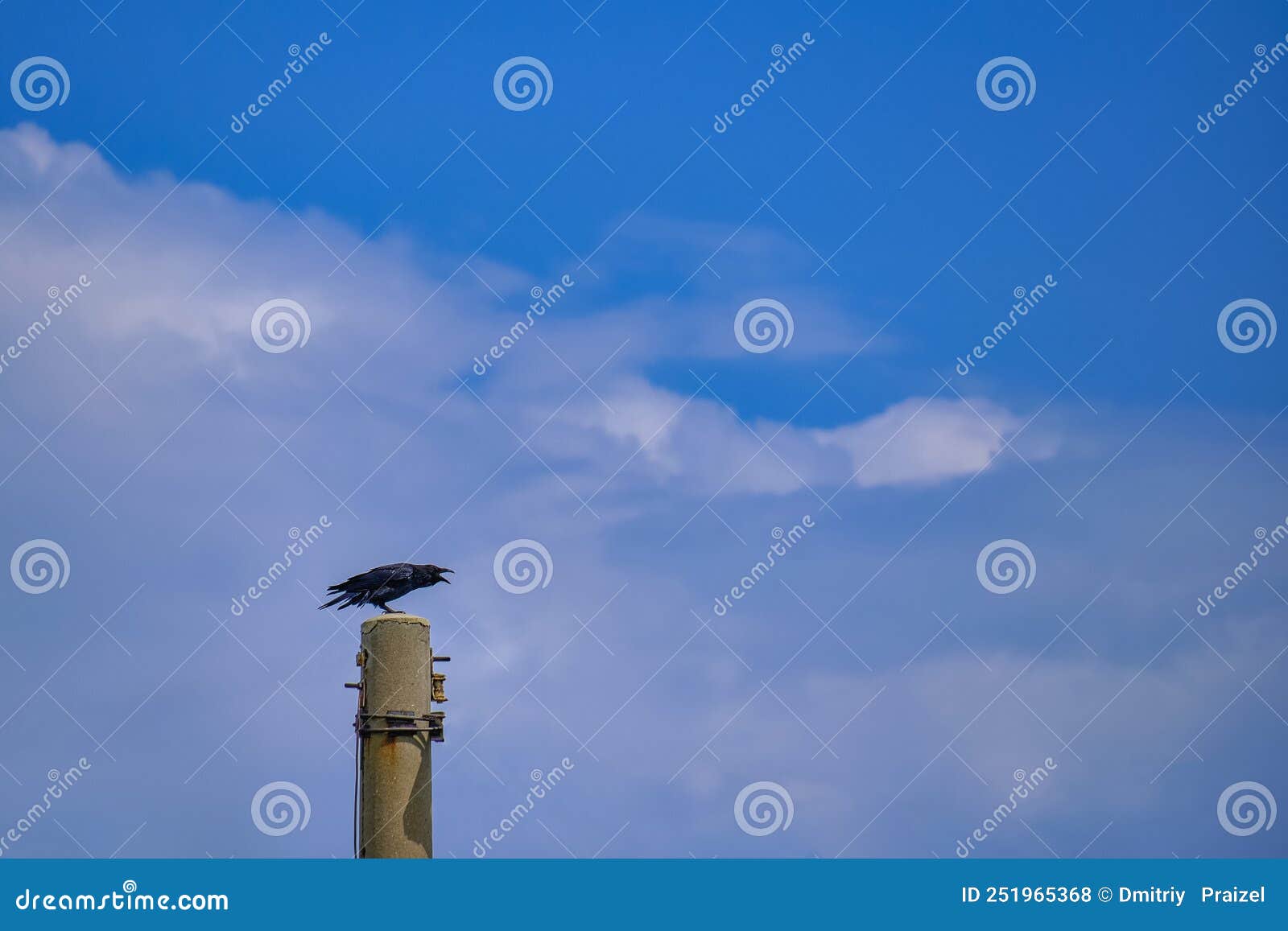Corbeau Effroyable Assis Sur Un Poteau Photo stock - Image du horreur ...