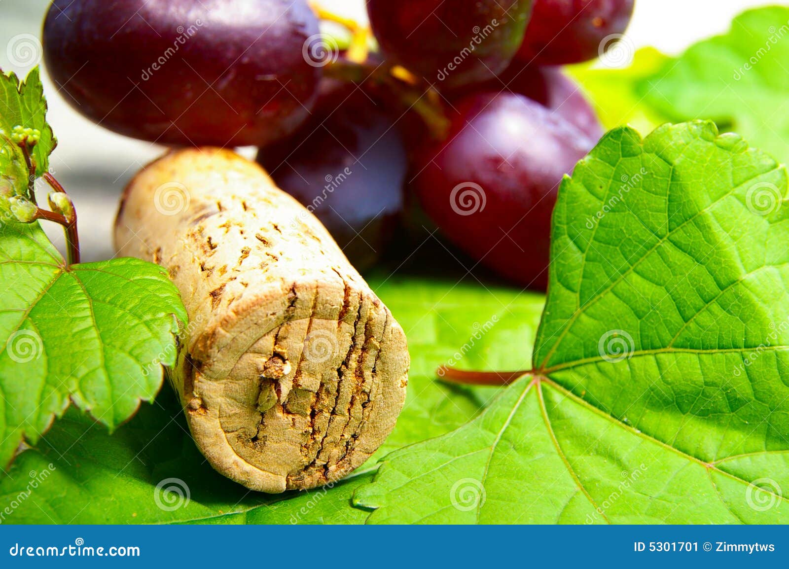 Corcho del vino imagen de archivo. Imagen de fresco, producto - 5301701