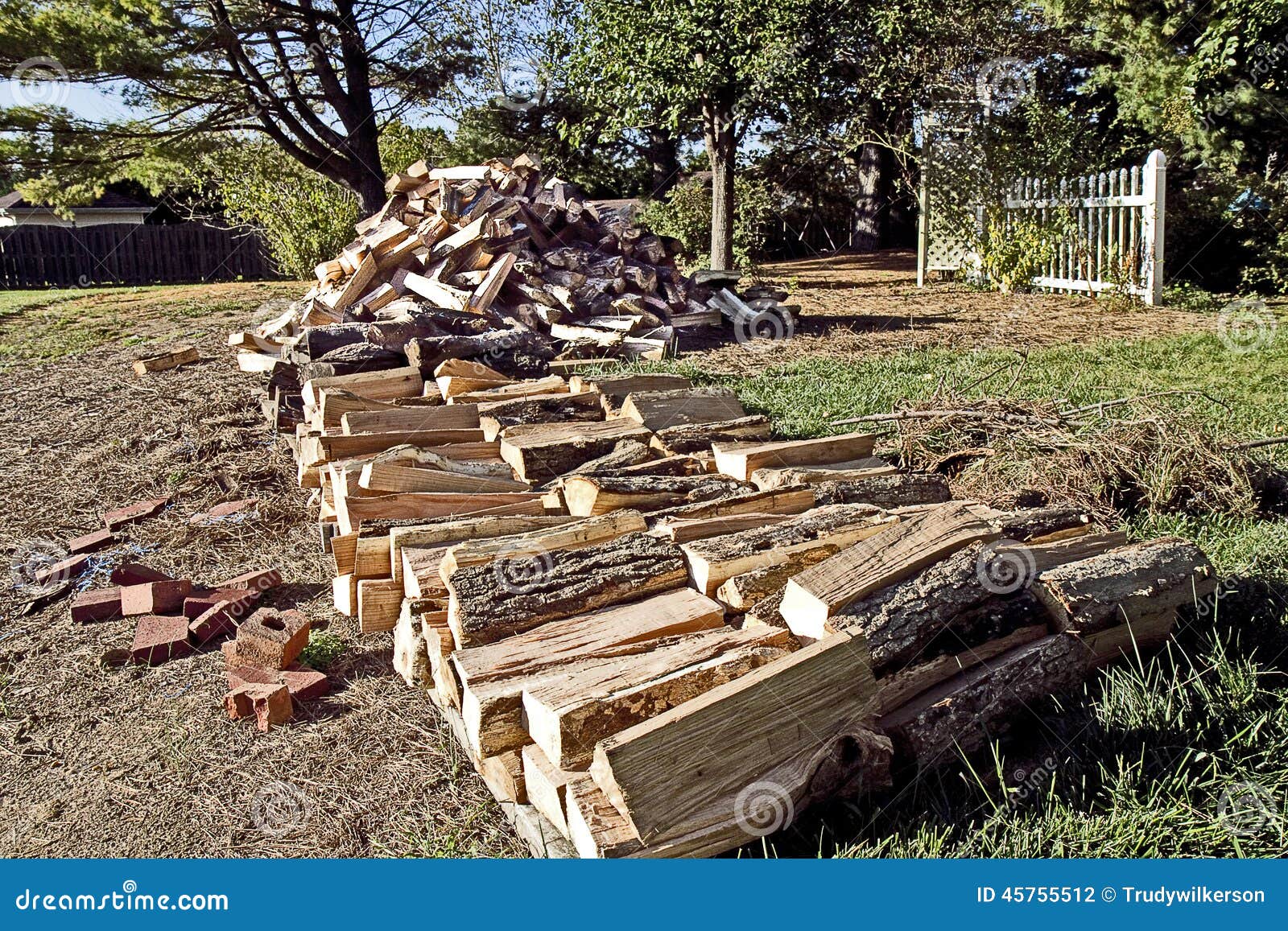 Cord of Split Firewood stock photo. Image of tree, nature - 45755512 Cord of Split Firewood stock photo. Image of tree, nature - 45755512