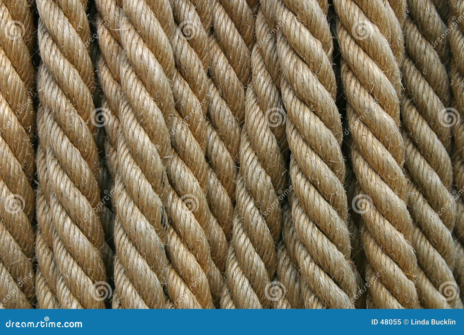Corda immagine stock. Immagine di corda, legame, sfondo - 48055