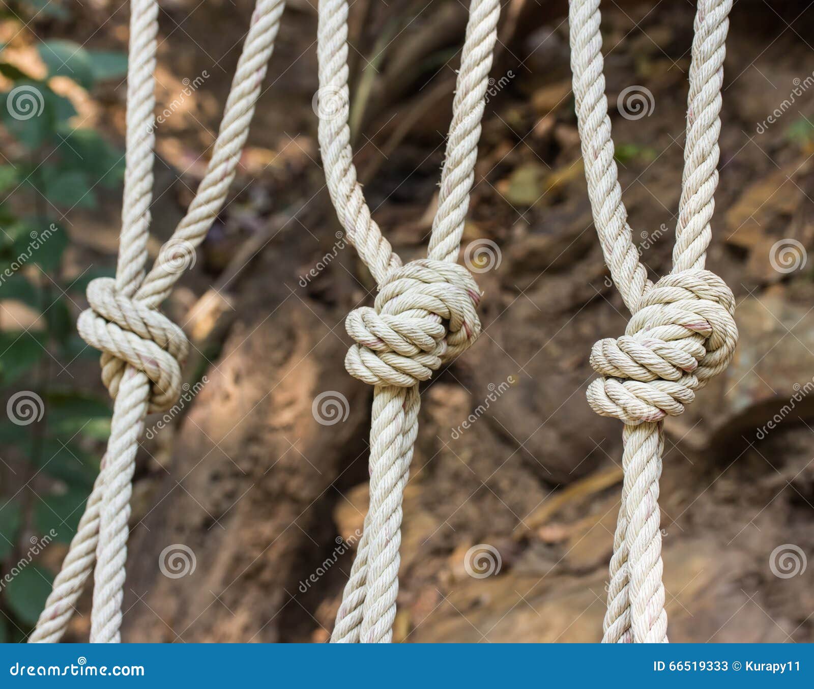 Corda annodata immagine stock. Immagine di tessuto, torsione - 66519333