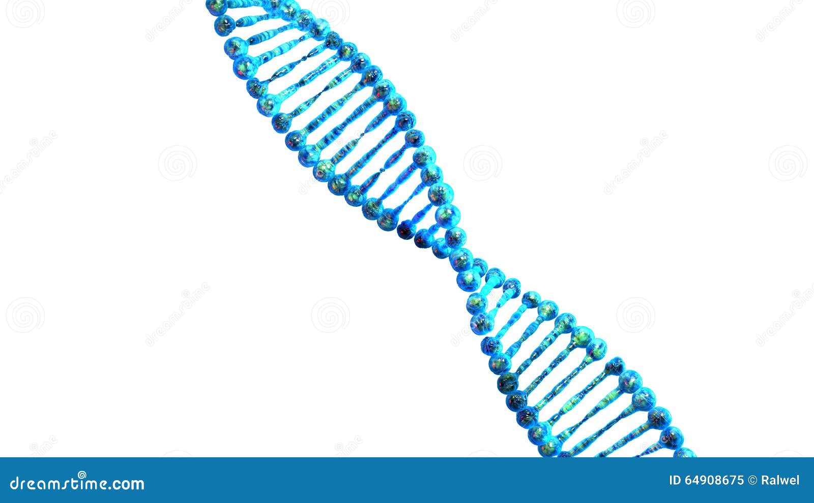 Corda humana do ADN ilustração stock. Ilustração de renda - 64908675