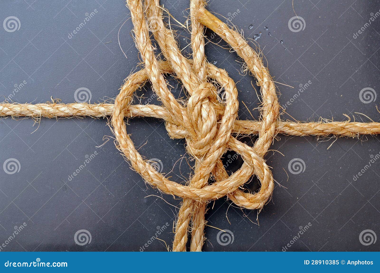 Corda legata insieme immagine stock. Immagine di cavo - 28910385