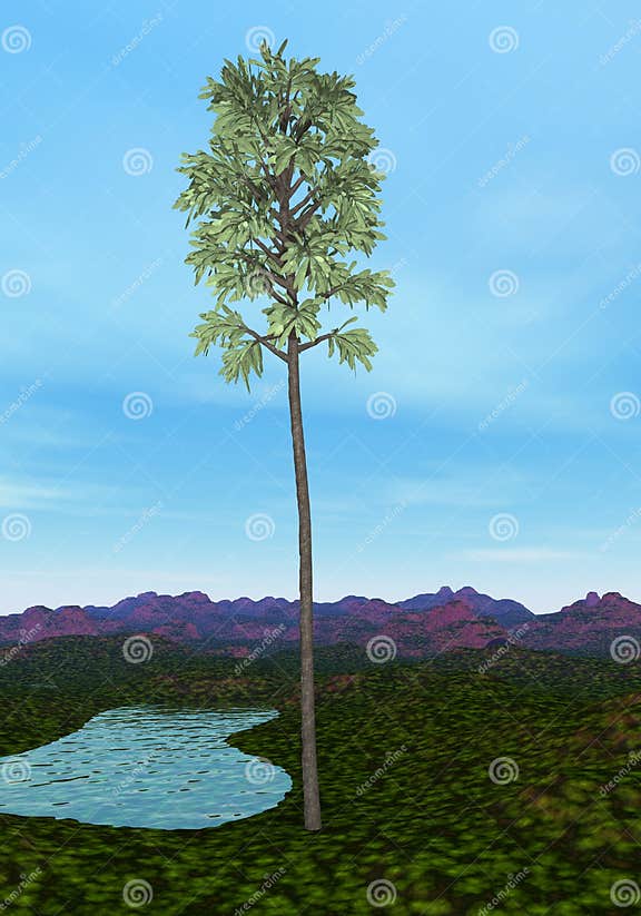 Cordaites tree - 3D render stock illustration. Illustration of ...