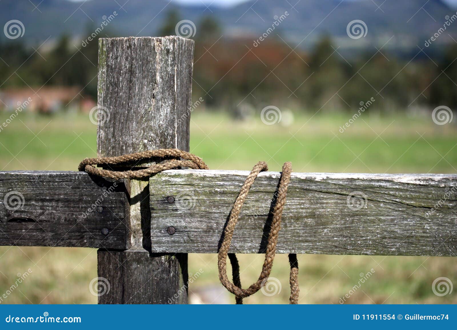 Corde Attachée Autour D'un Pôle Photo stock - Image du corde, lien ...