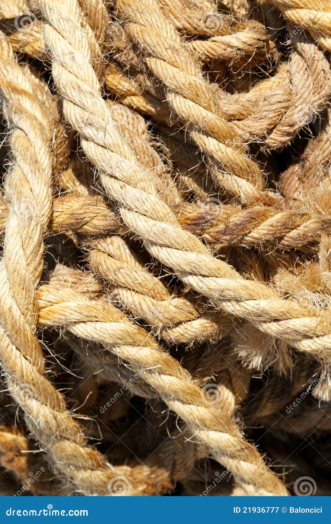 Cordes image stock. Image du intense, lignes, vieux, brun - 21936777