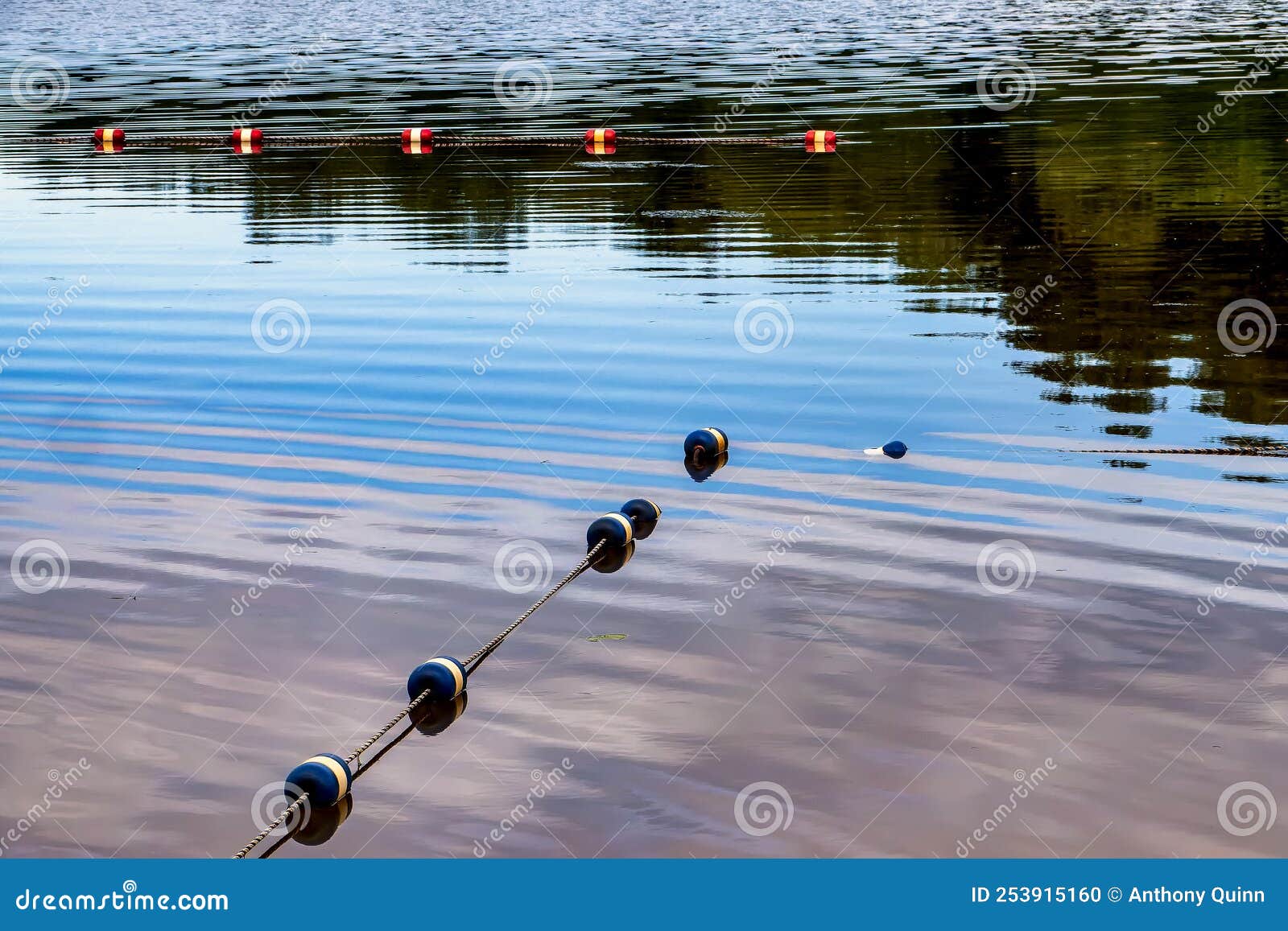 Cordoned Off Area of a Swimming Hole Stock Photo - Image of rove ...