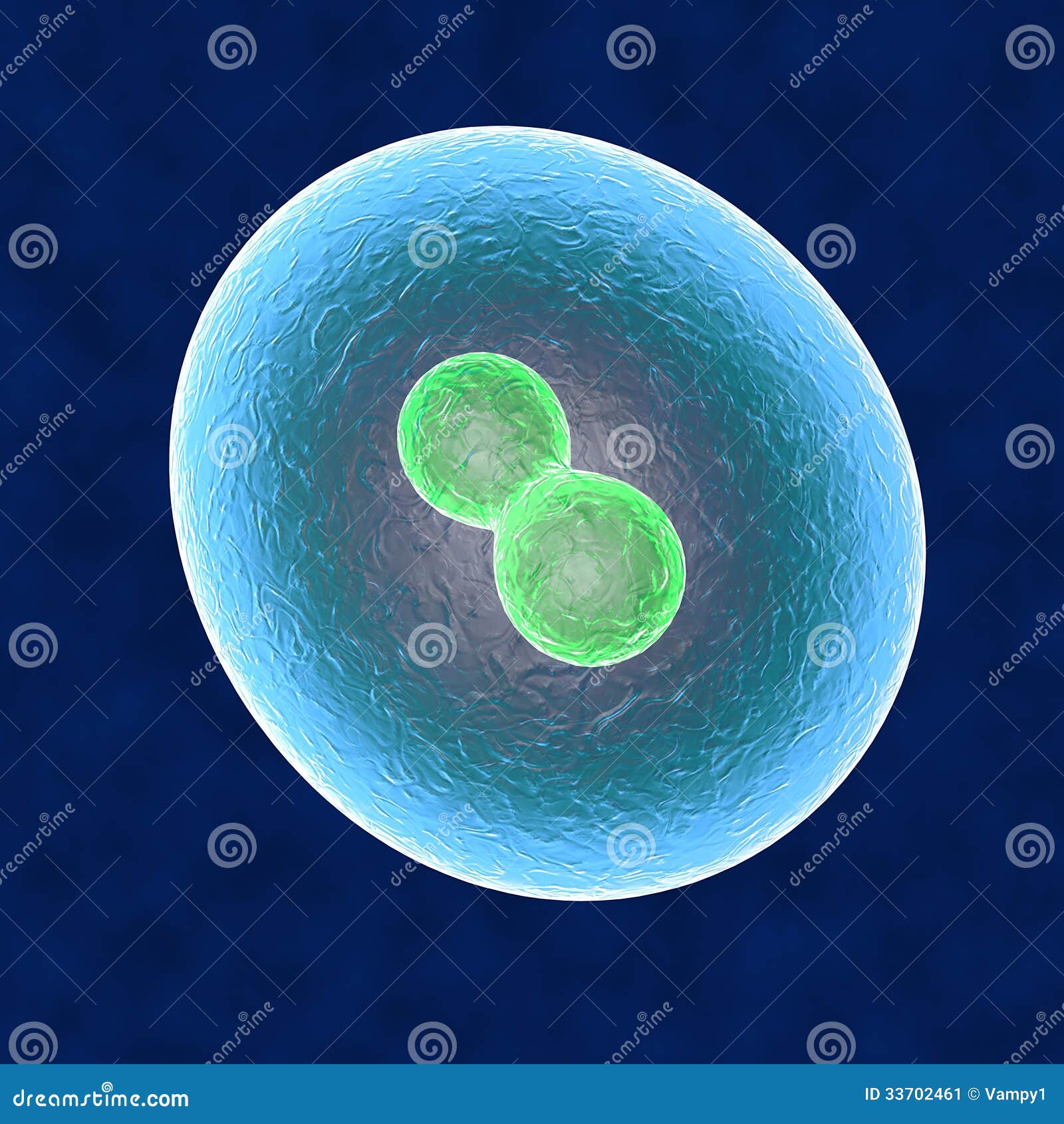 Core Cell Stock Photography | CartoonDealer.com #33702482