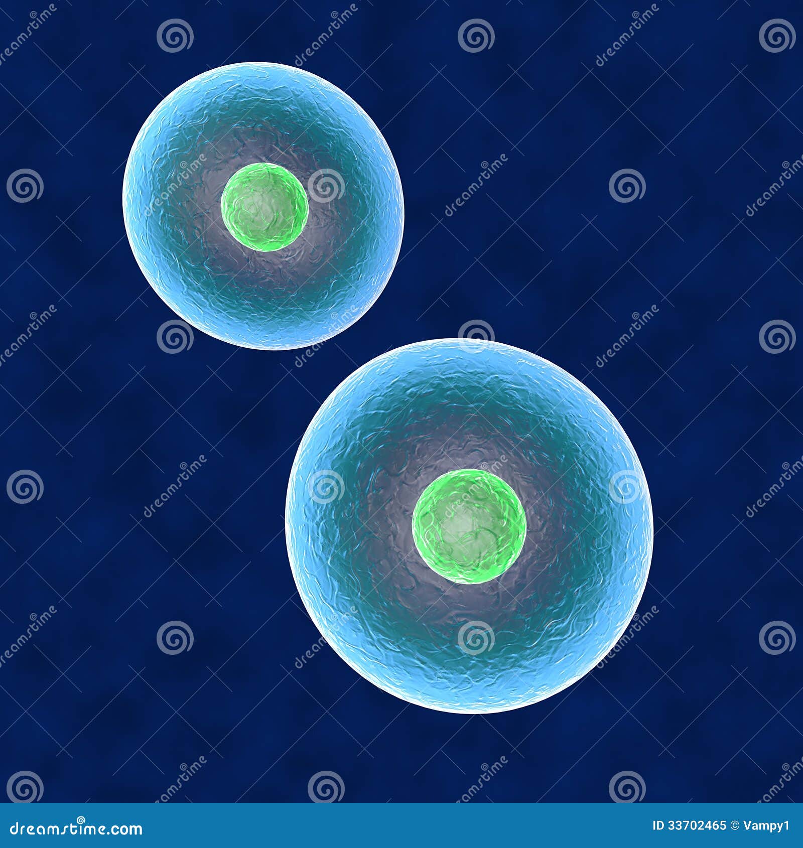 Core Cell Stock Photography | CartoonDealer.com #33702482